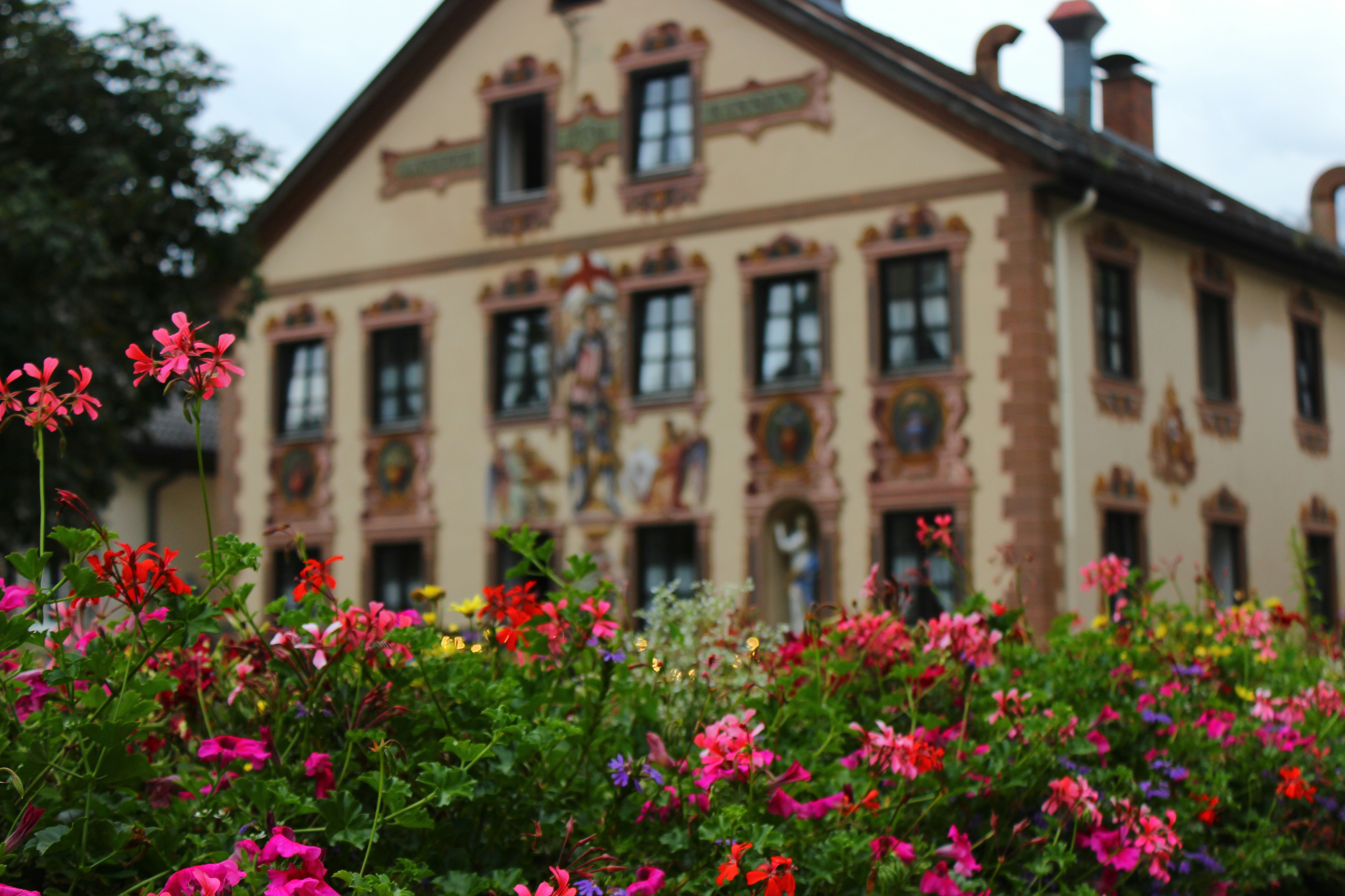 Flowers and nice building in Garmisch-Partenkirchen