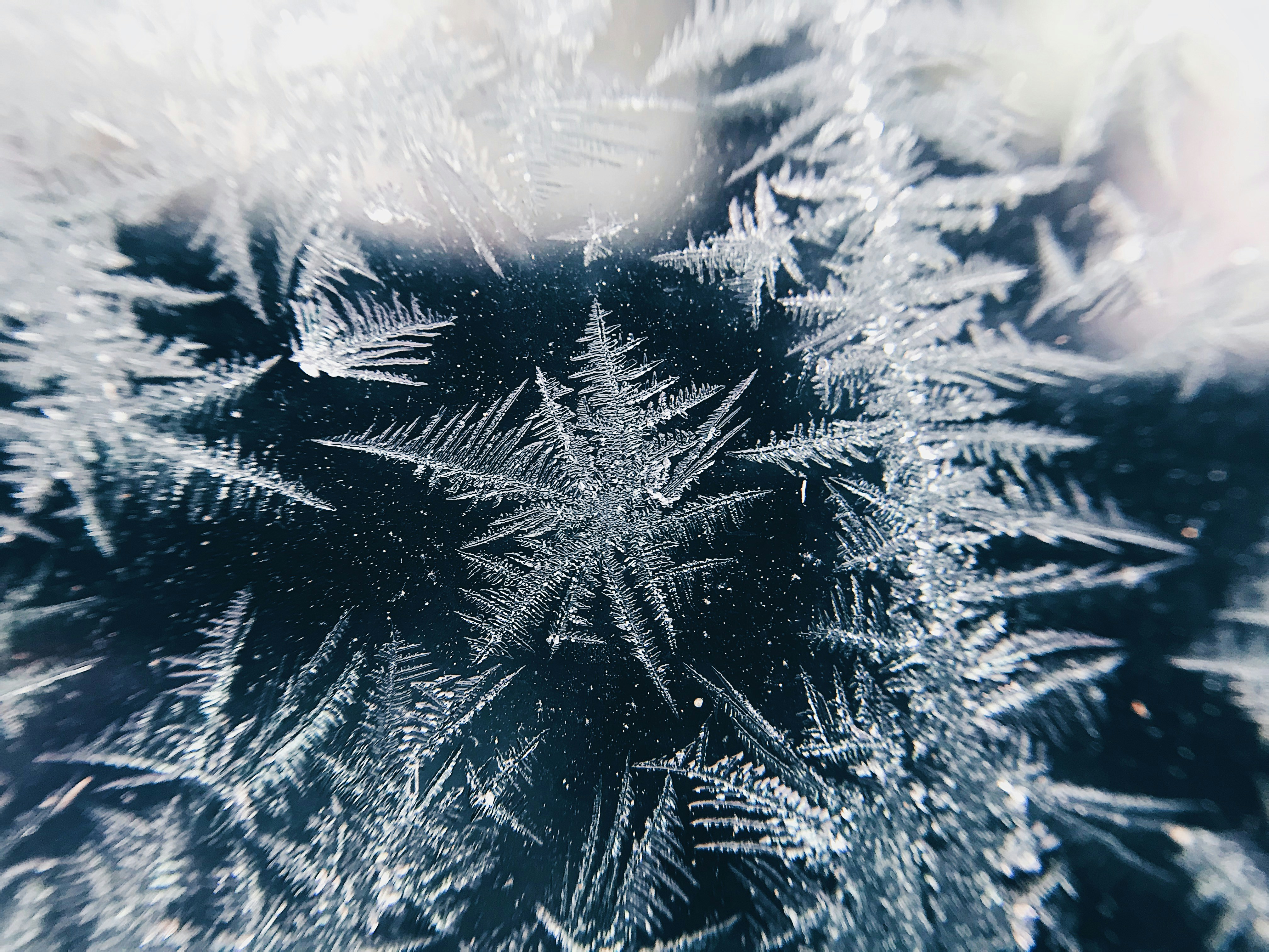 Snowflakes Pictures | Download Free Images on Unsplash