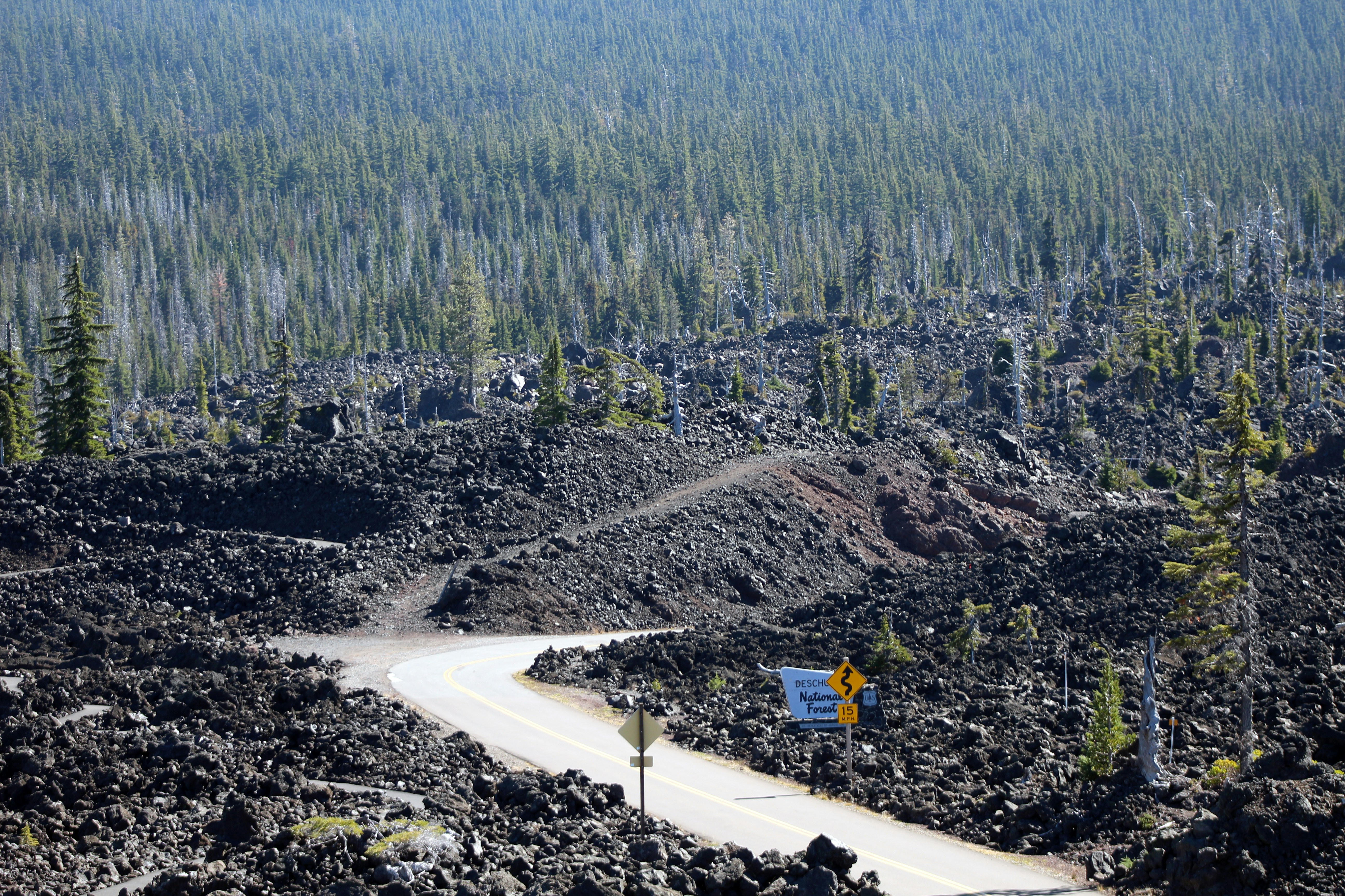 Road Through the Lava Field: A Quiet Corridor Between Dark Rocks and Pine