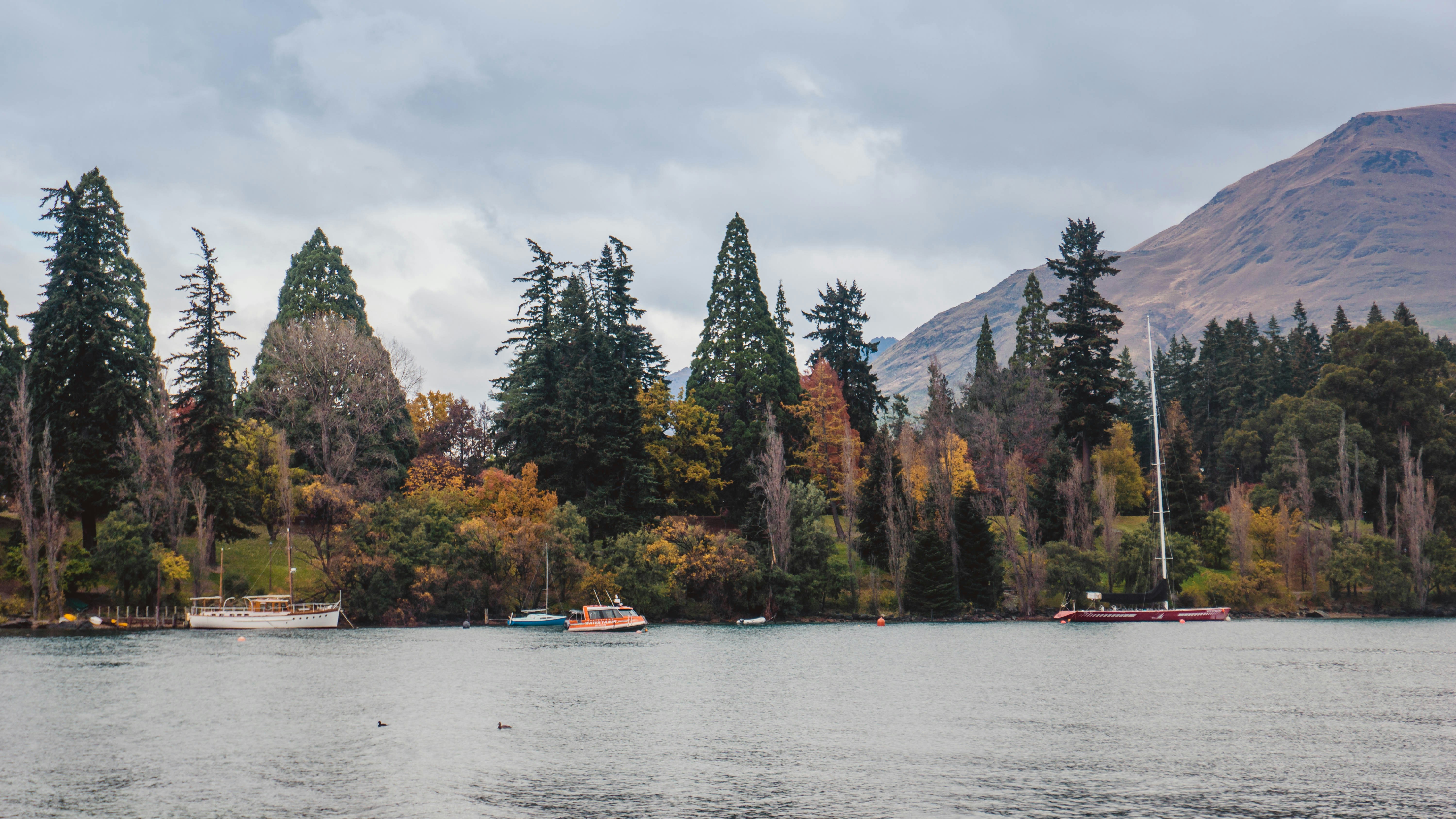 A serene lakeside scene featuring boats anchored amidst vibrant autumn foliage and towering trees, with a distant mountain backdrop.