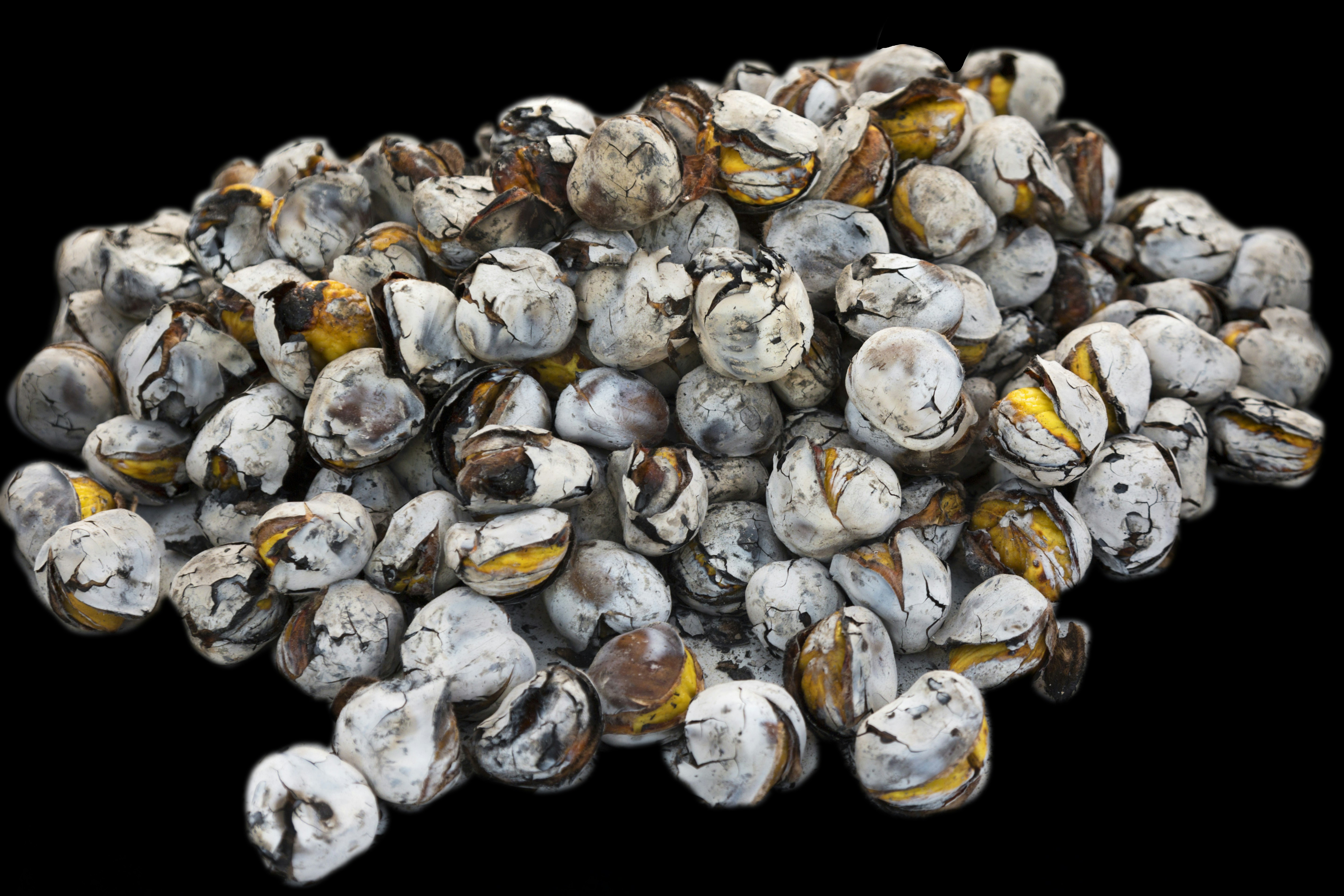 Gray dates lot photo – Free Málaga Image on Unsplash