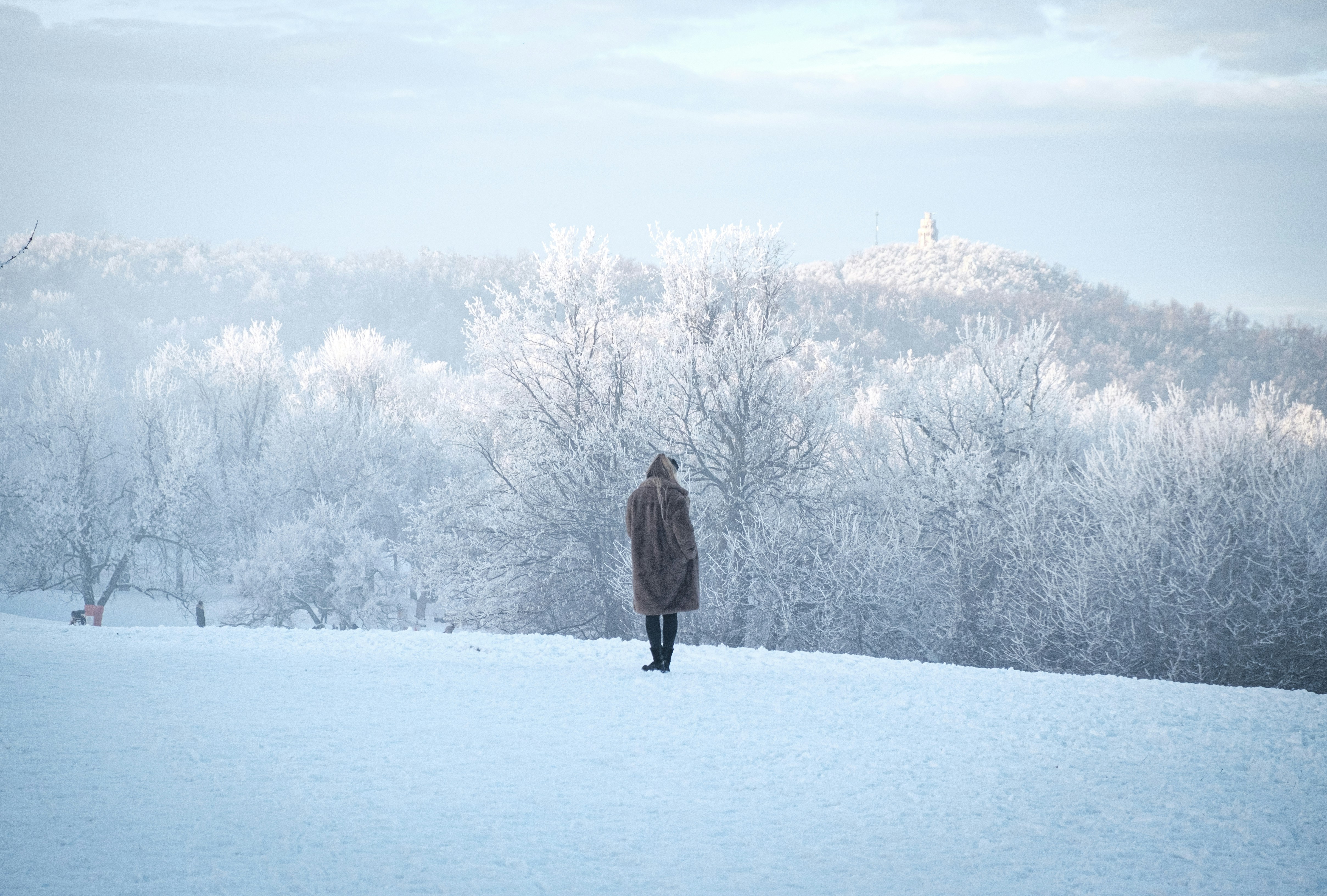 Lone Figure Beneath a Frost-Washed Skyline