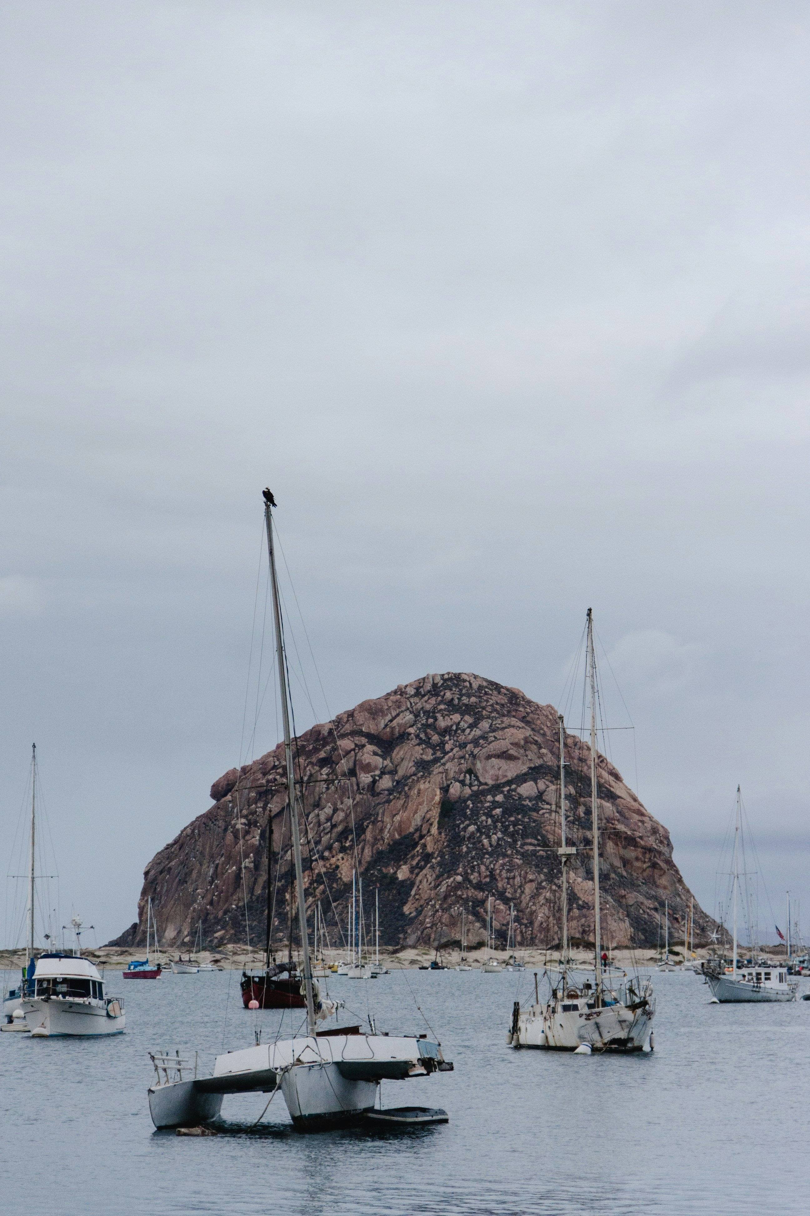 Granite Island Crowns a Harbor of Sails