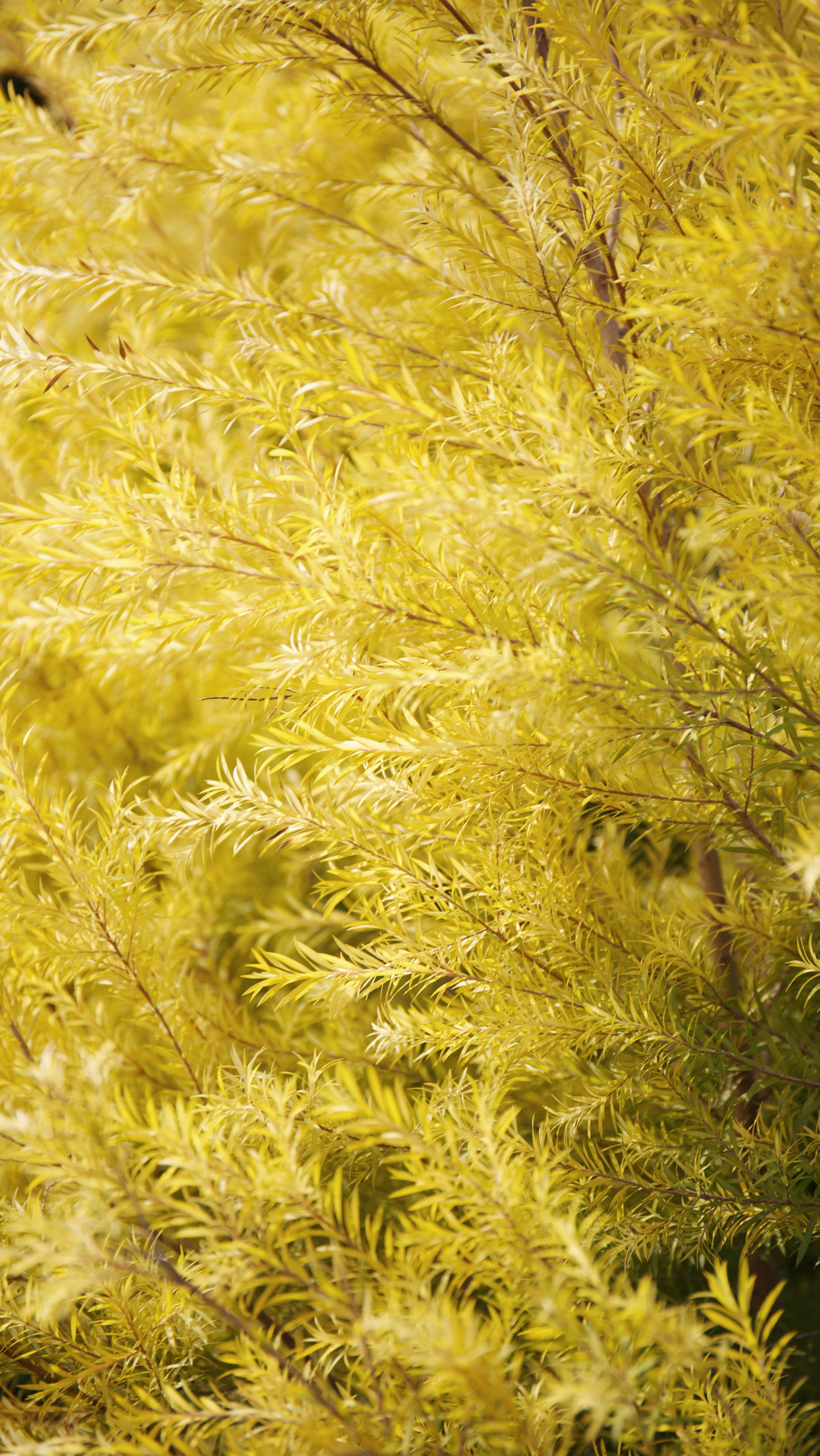 Ren Ran (@renran) | Unsplash Photo Community