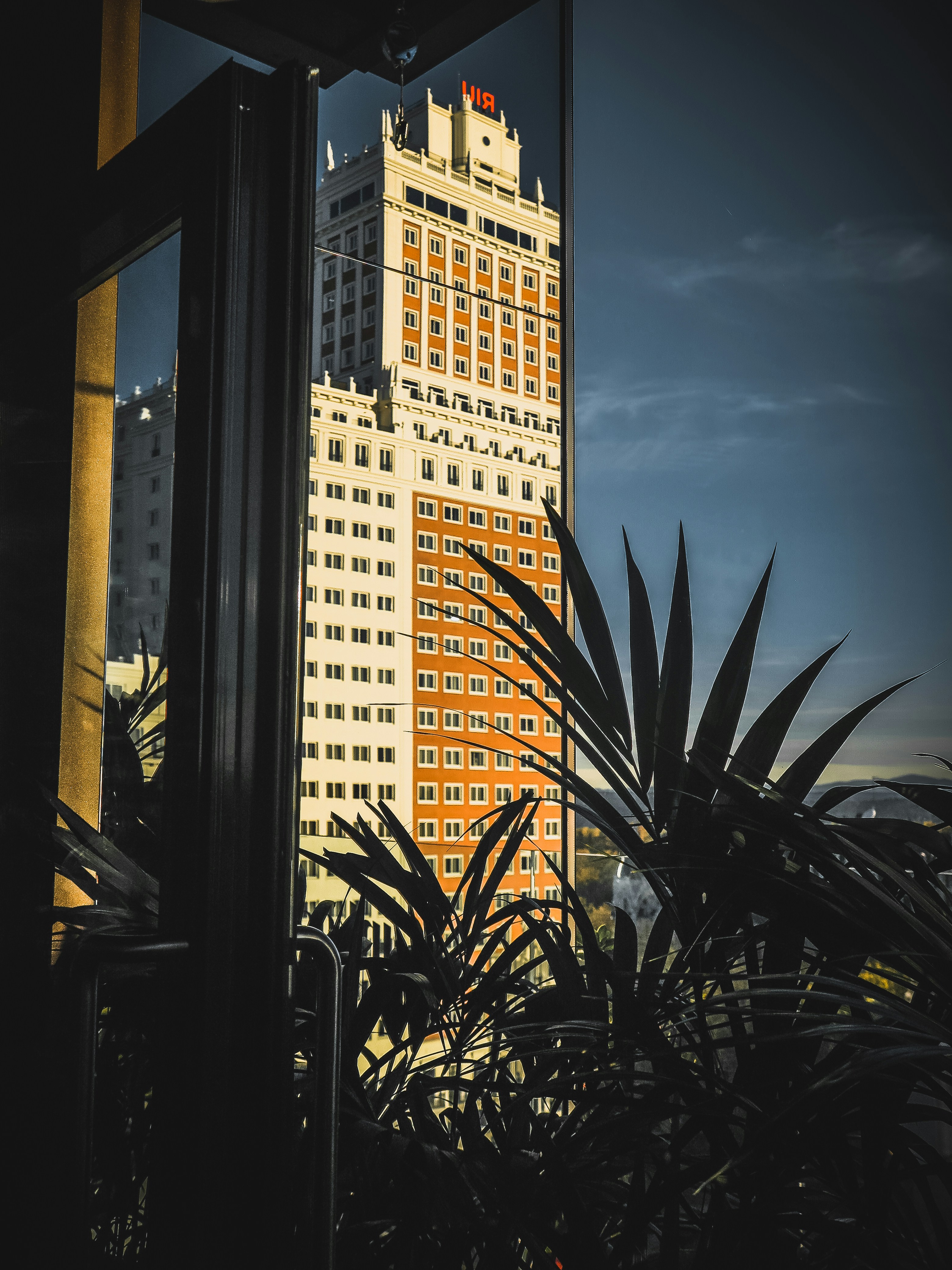 White and orange high-rise building under blue and white sky photo ...