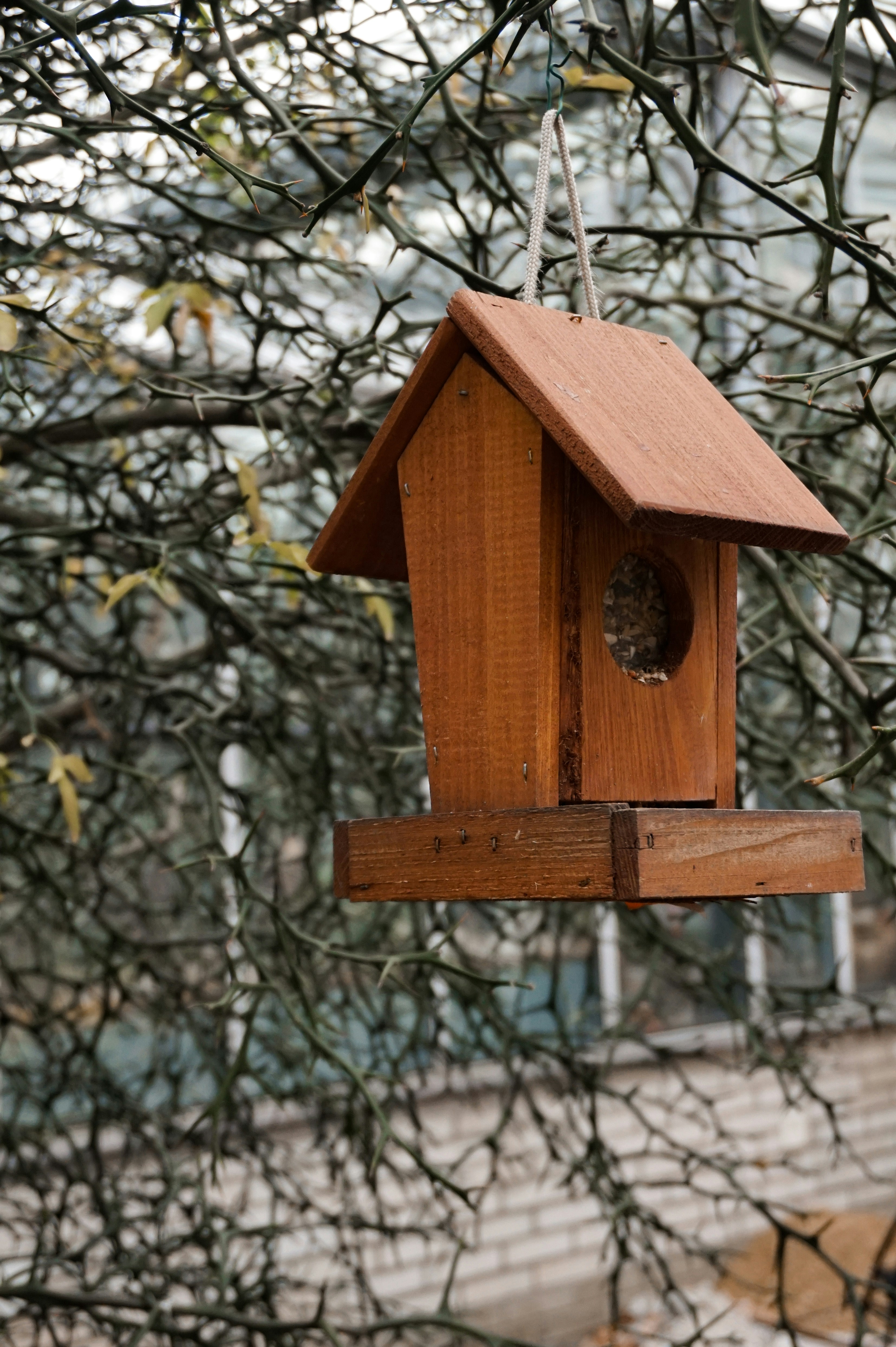 Brown wooden birdhouse photo – Free Brown Image on Unsplash