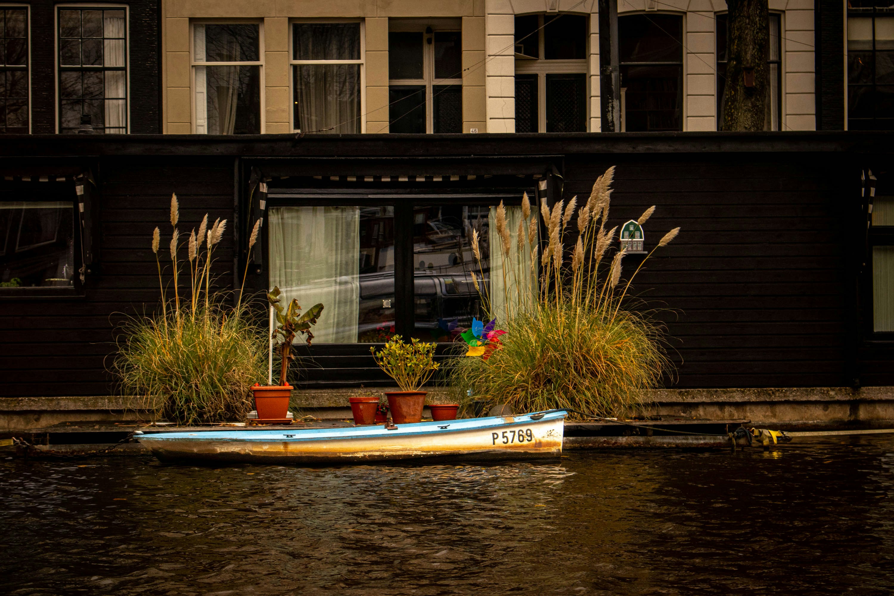 Floating Flora by the Riverside: A Plant-Packed Boat Before a Dark Facade