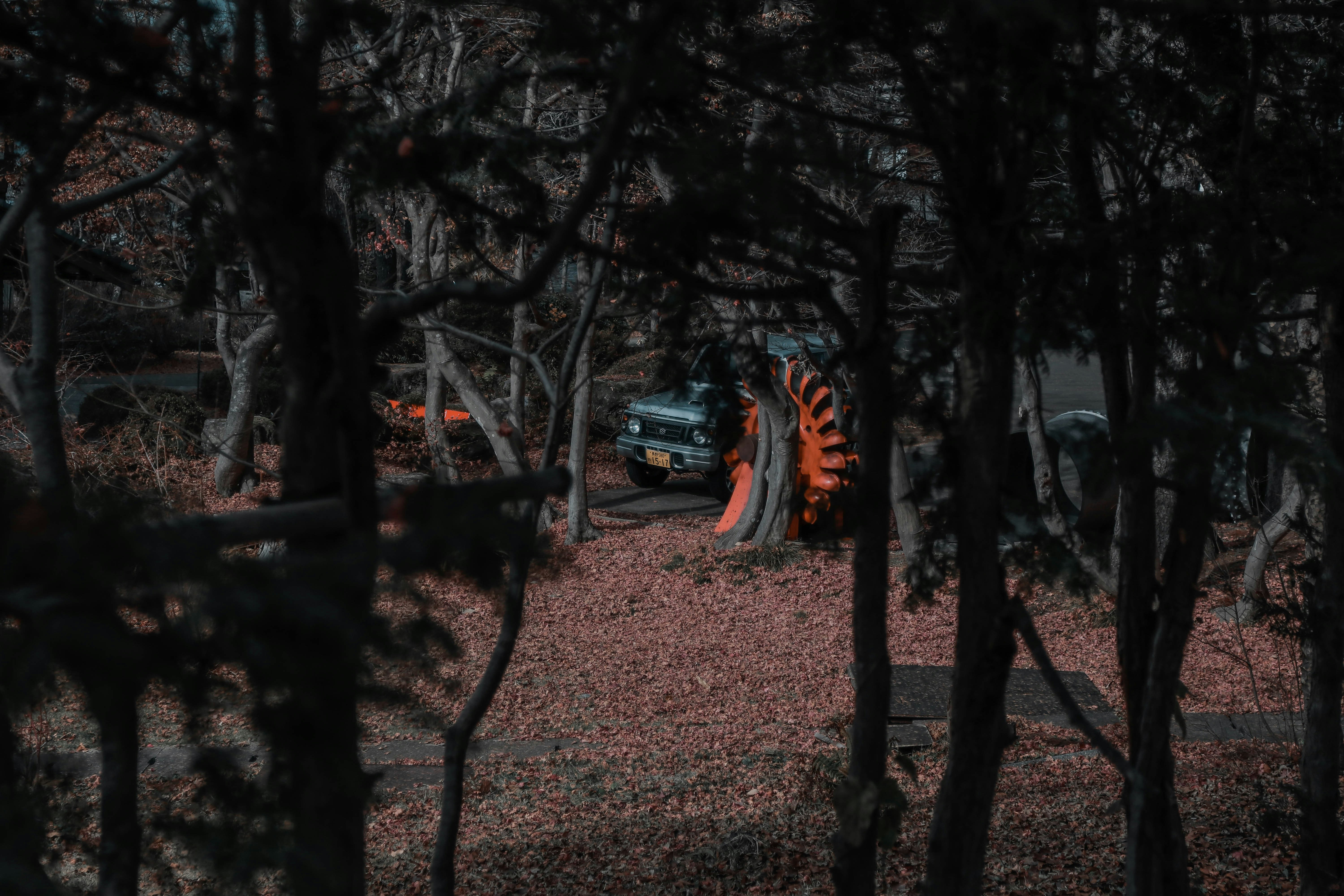 Orange-Wheel Tractor Quietly Reclaims a Red-Leaf Forest Clearing