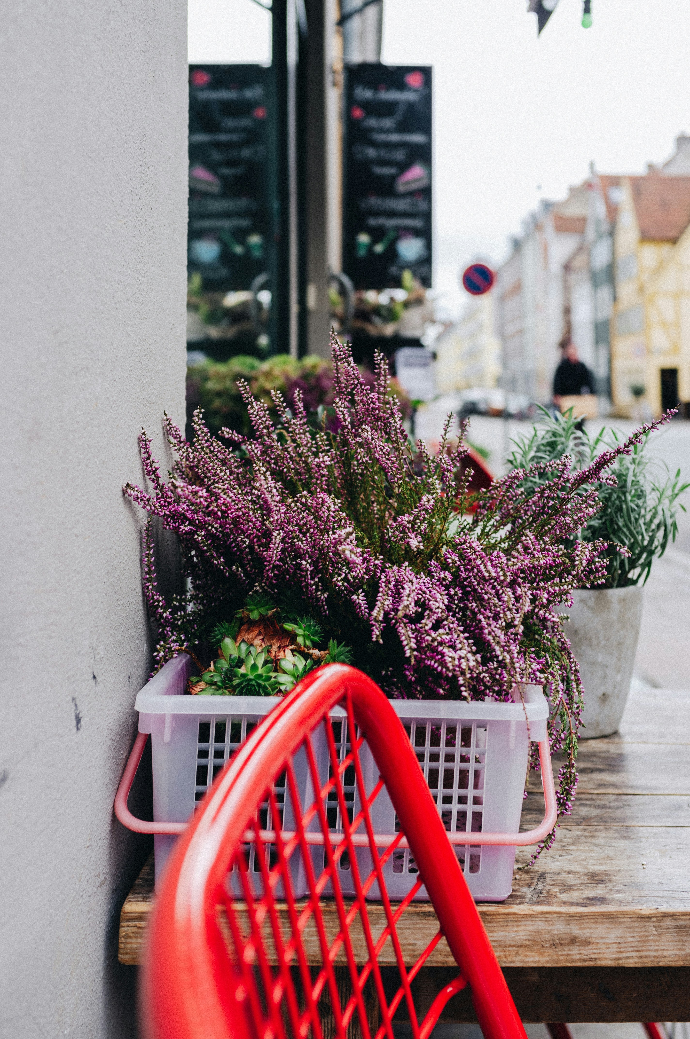 Urban florist vignette: purple heather spilling from a crate beside a red chair