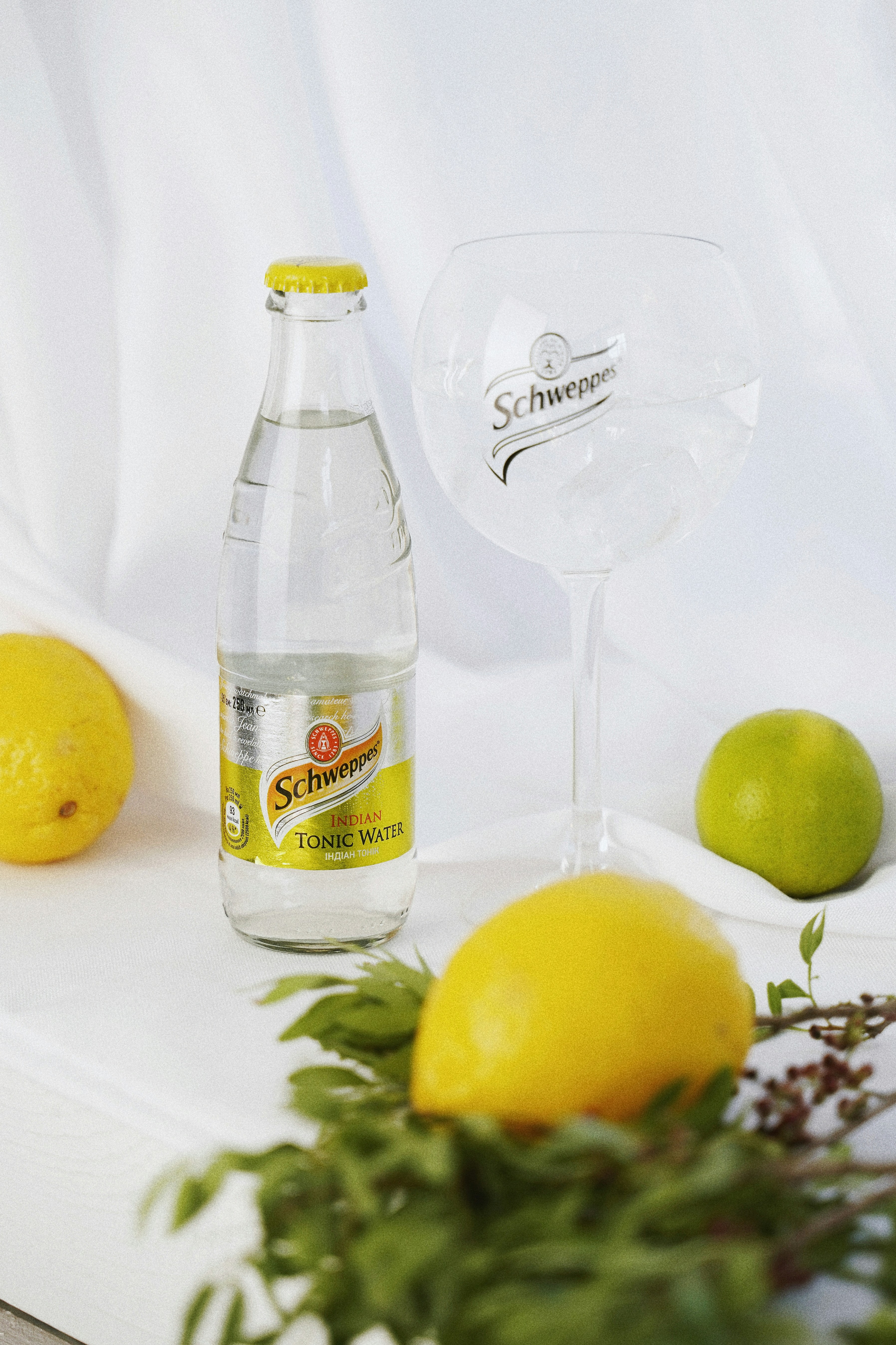 Still Life Sparkle: Lemon, Lime, and a Schweppes Moment