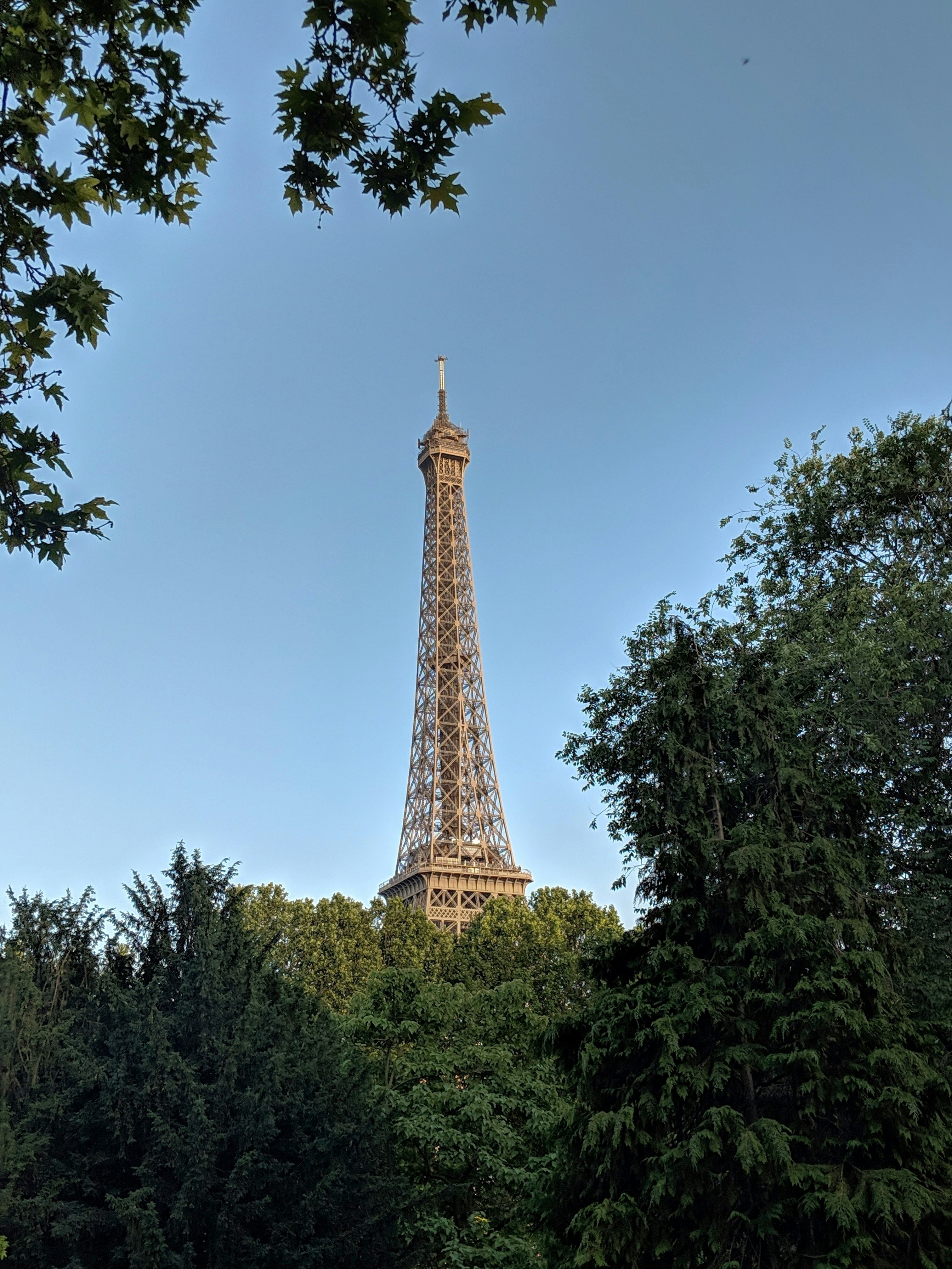 eiffel tower, summer