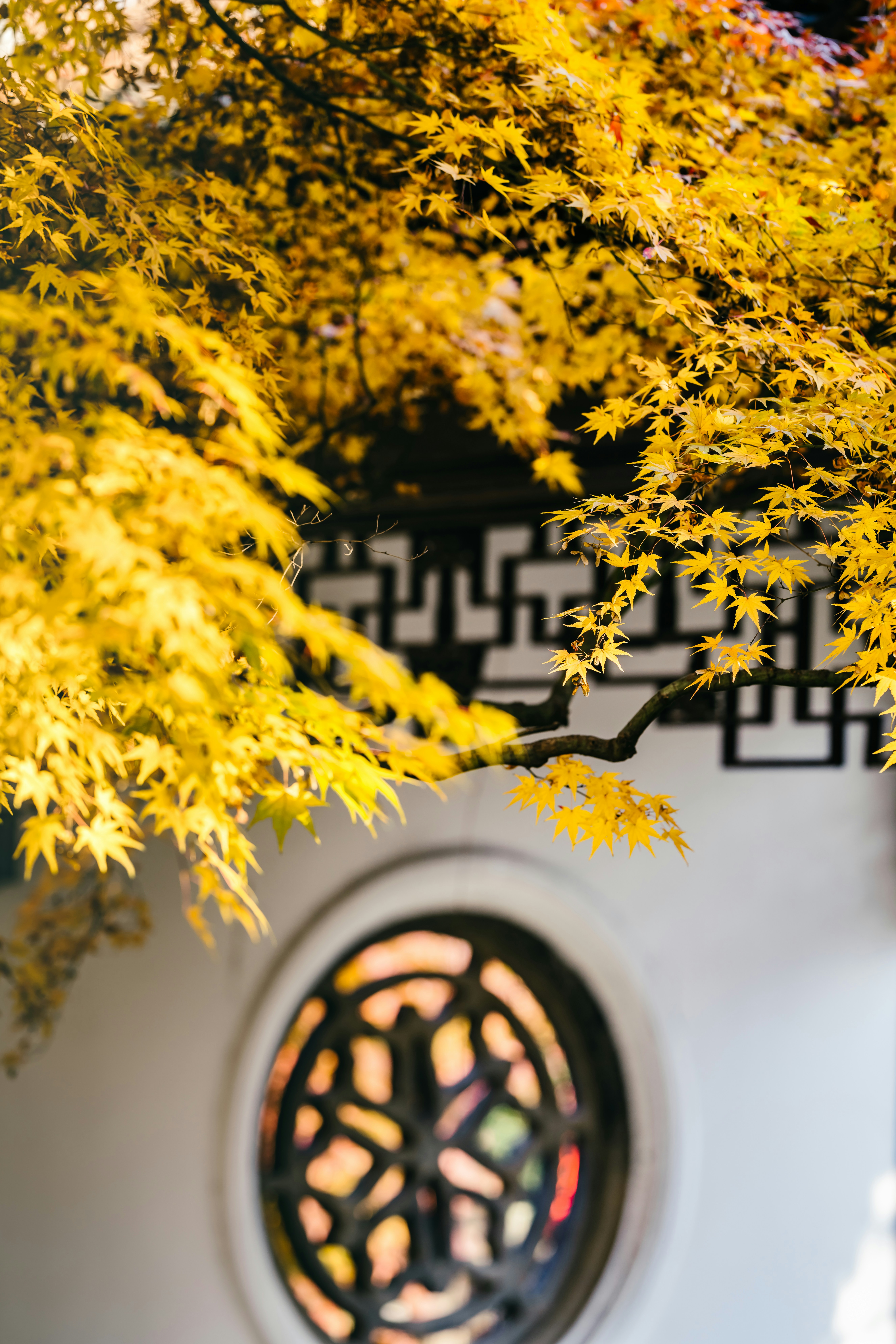 Autumn in Wuxi --- Reprint and use please indicate the source, please add a link