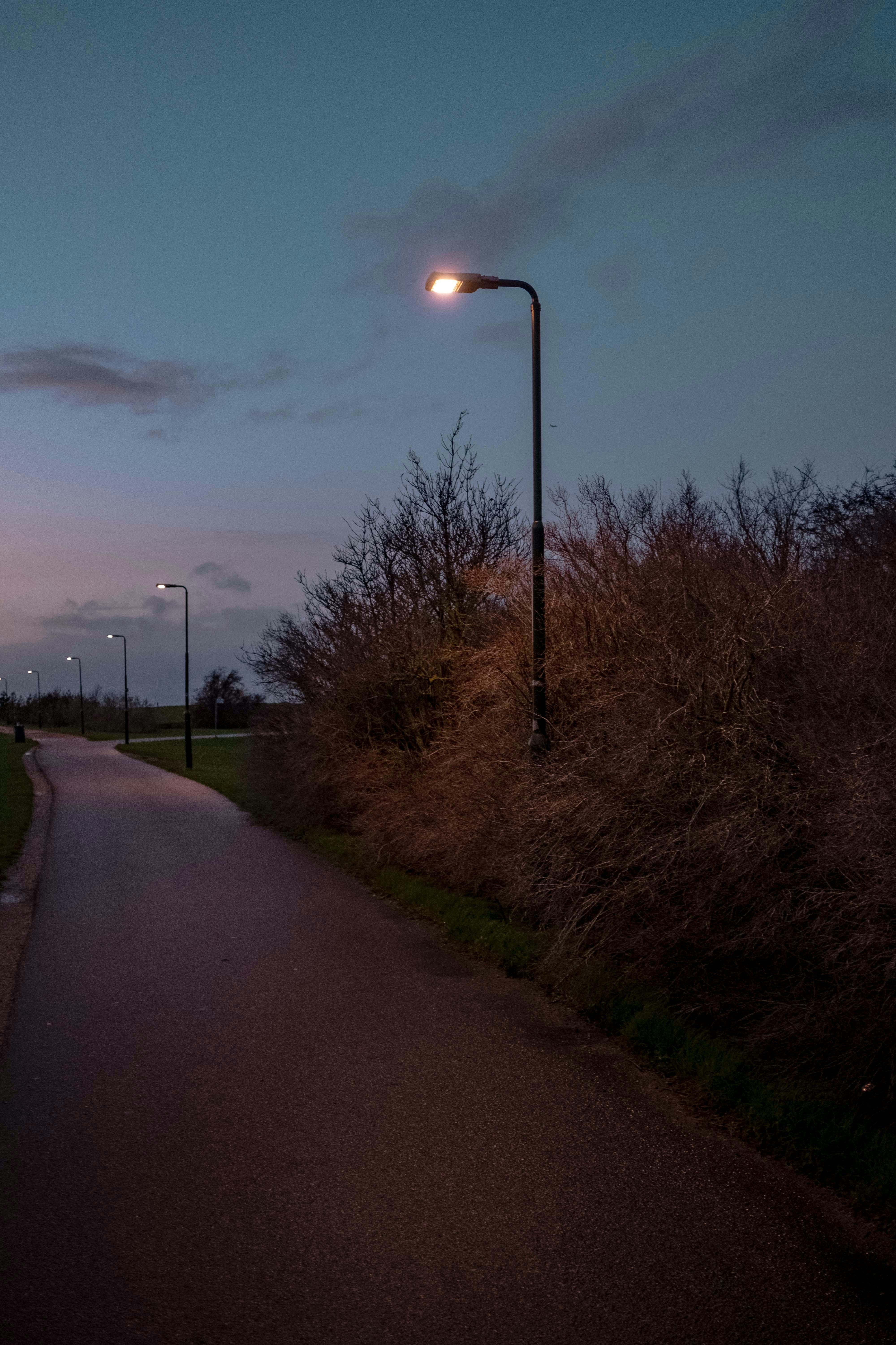 Twilight Pathway: A Journey into Dusk