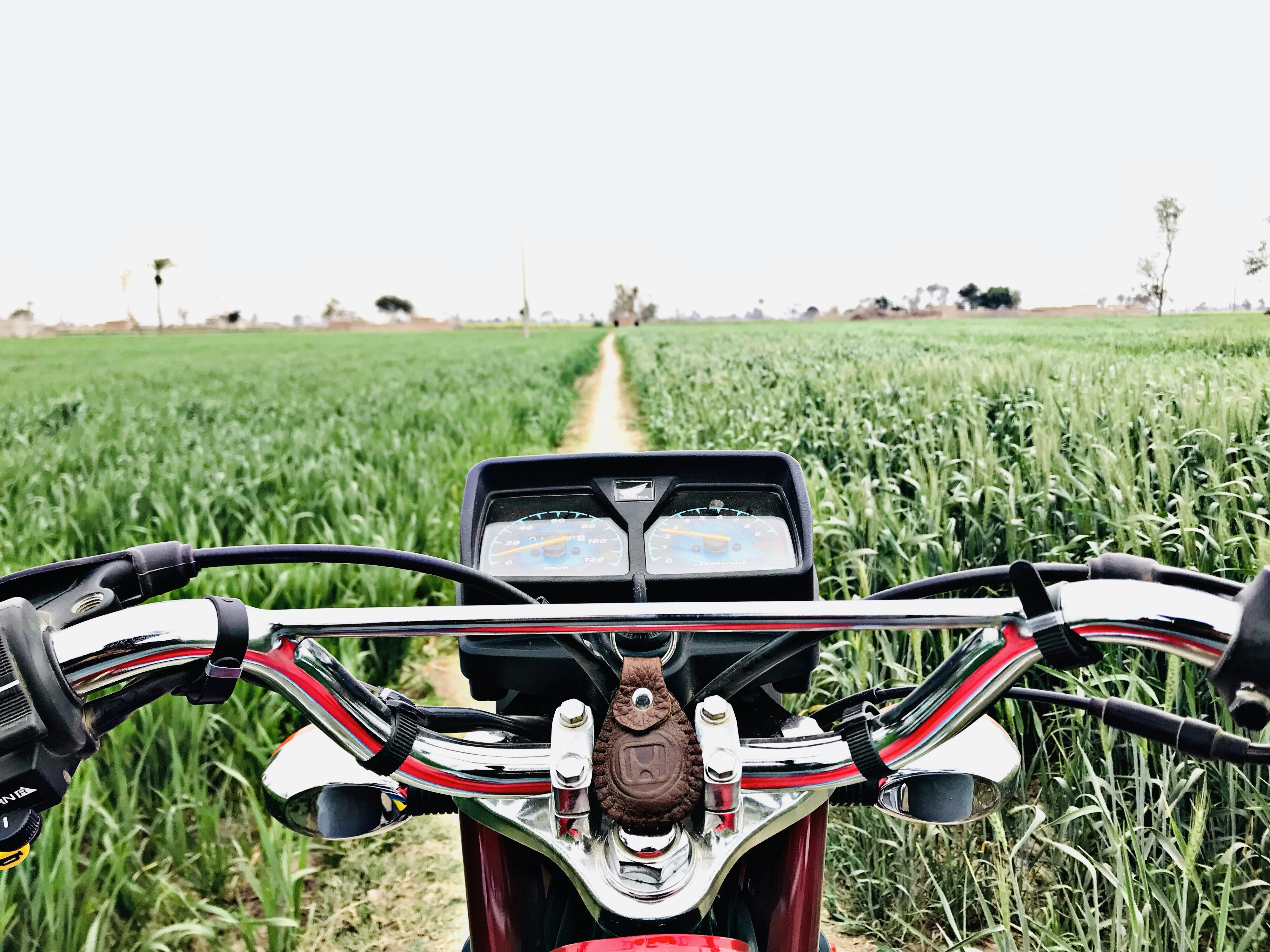 Chrome Grips Framing a Rural Path Through Green Fields