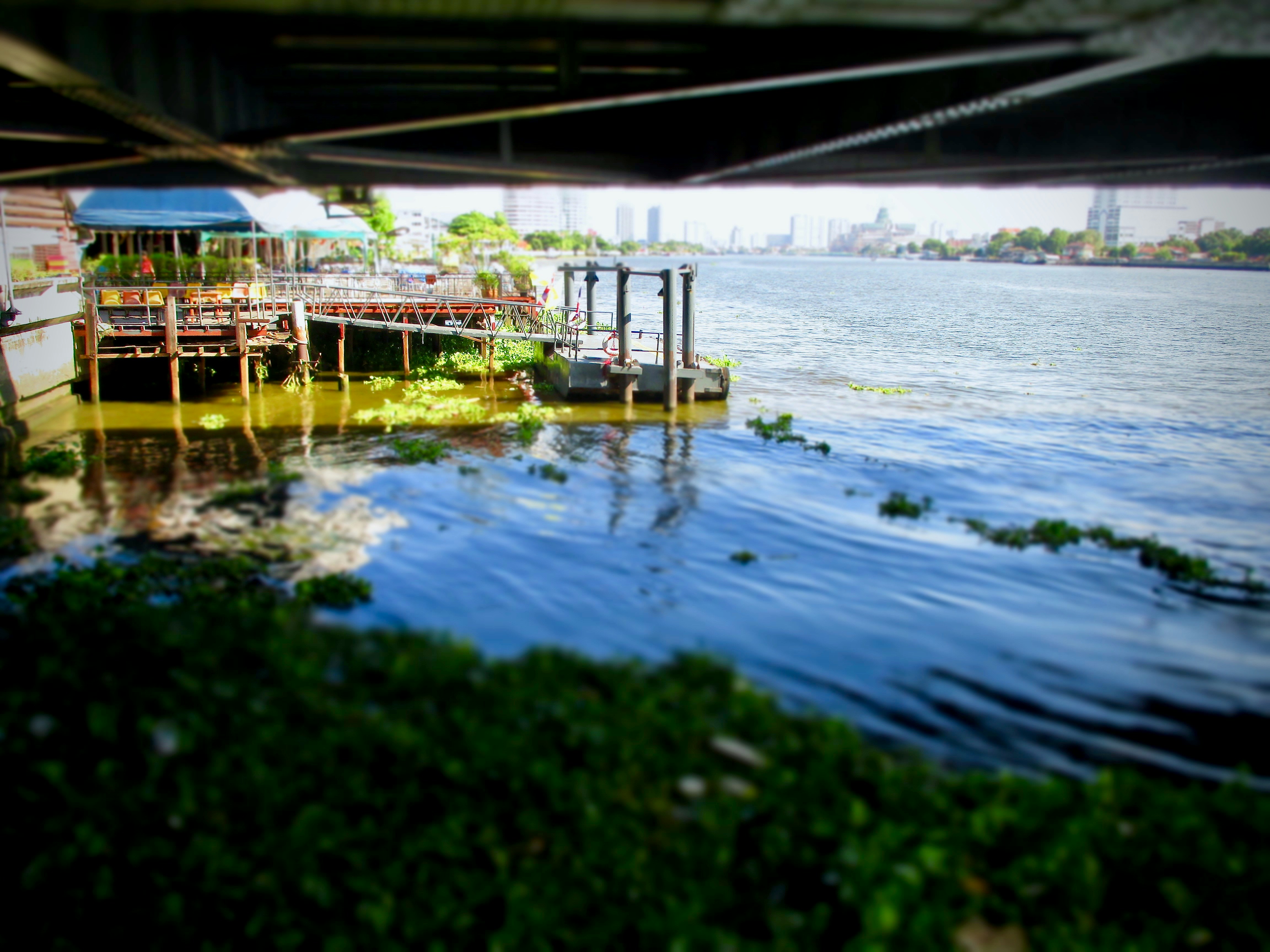 wooden deck on body of water