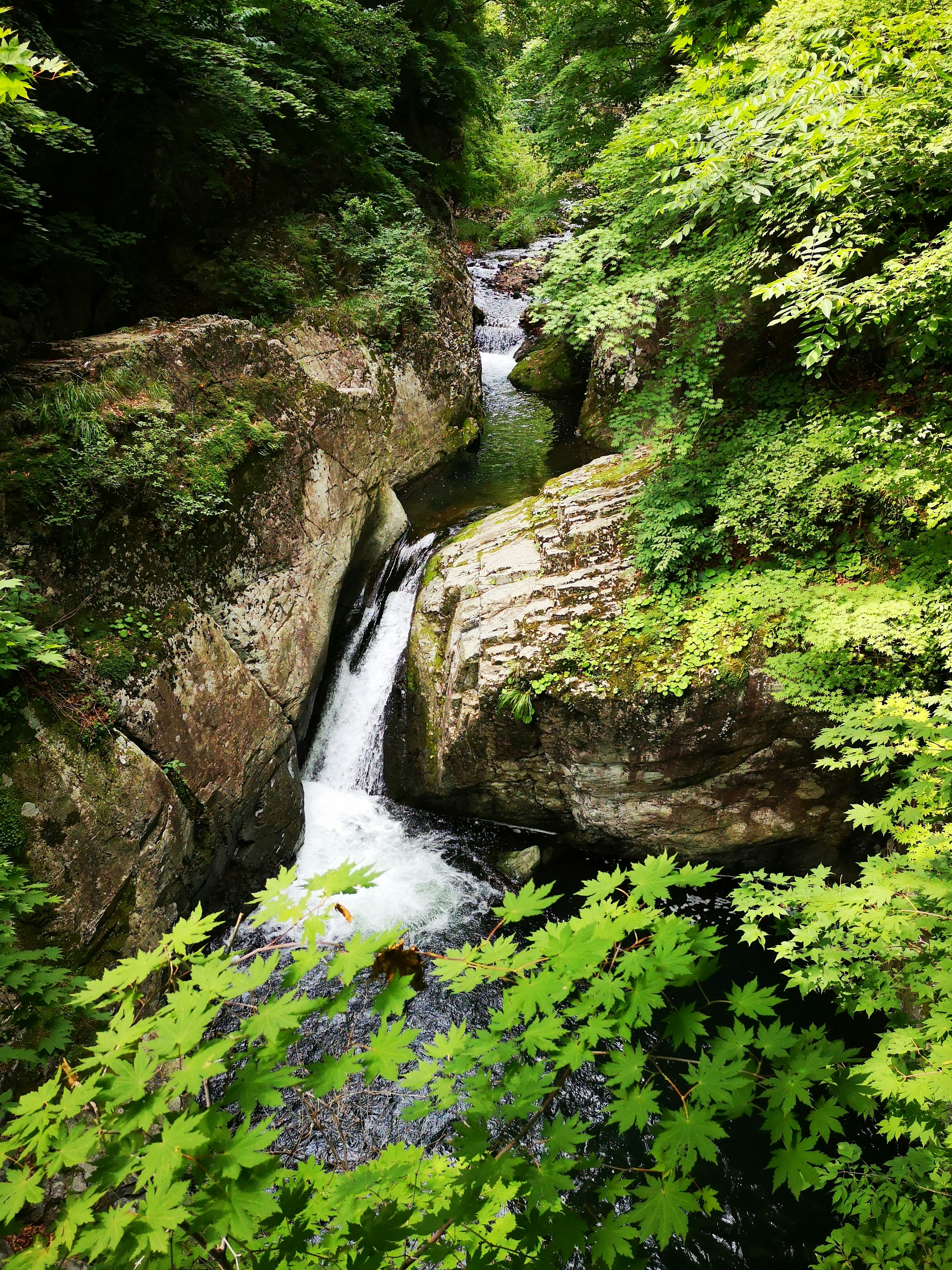 Nature photograph of a narrow waterfall tumbling between moss-covered rock walls in a lush forest gorge. The composition highlights emerald greens and the momentum of flowing water.