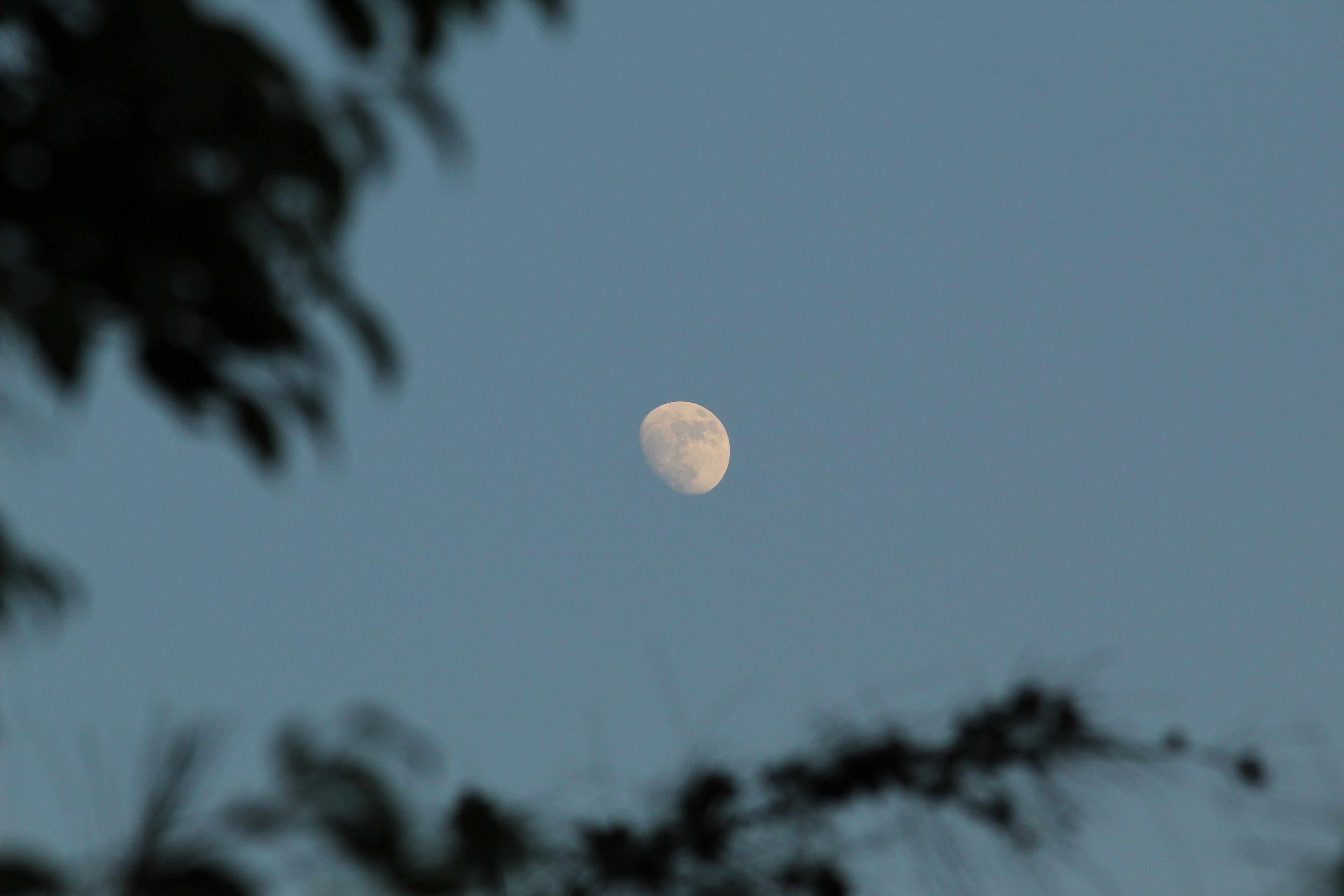 White full moon photo – Free Grey Image on Unsplash