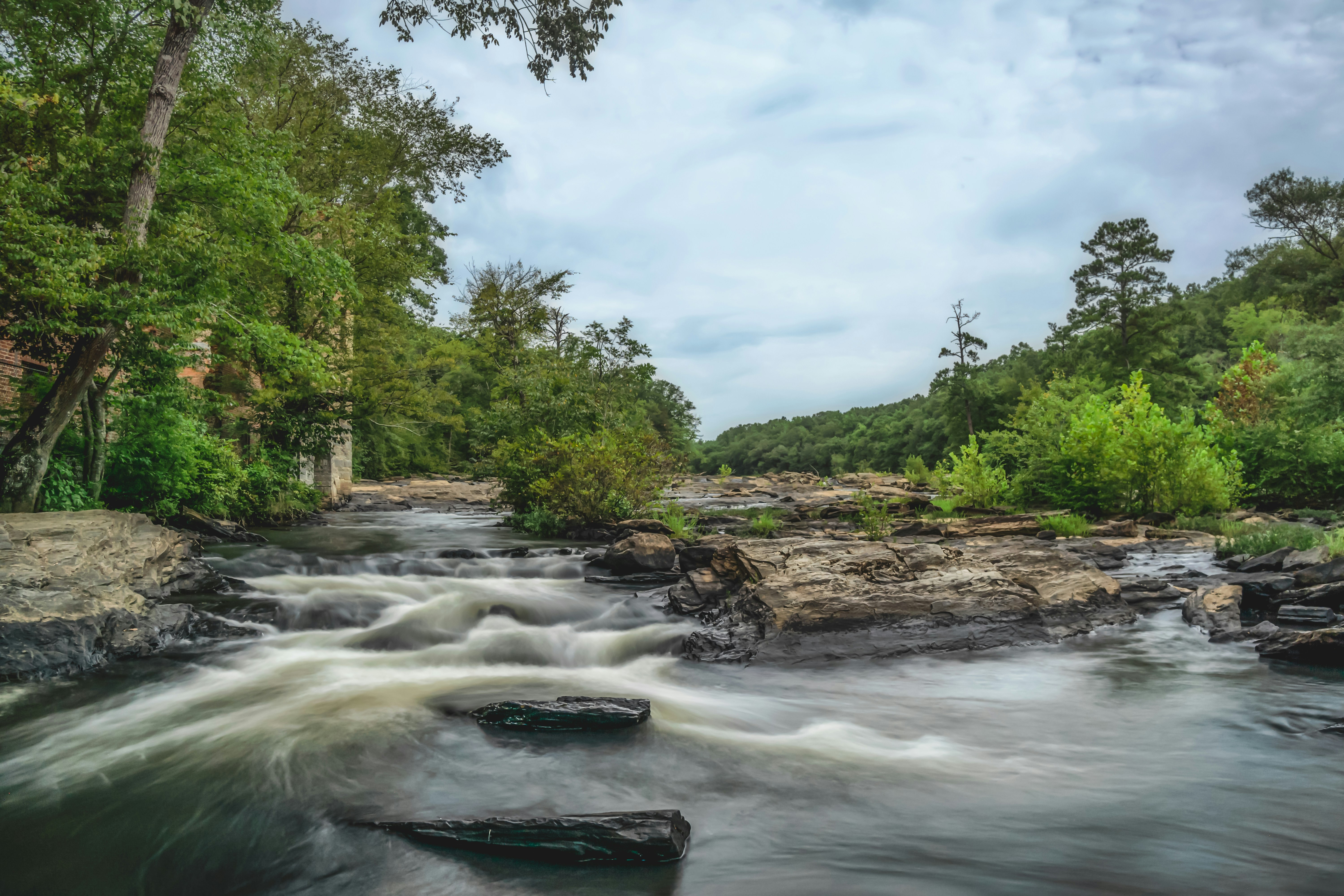 Rushing river winding through lush forest under a cloudy sky.