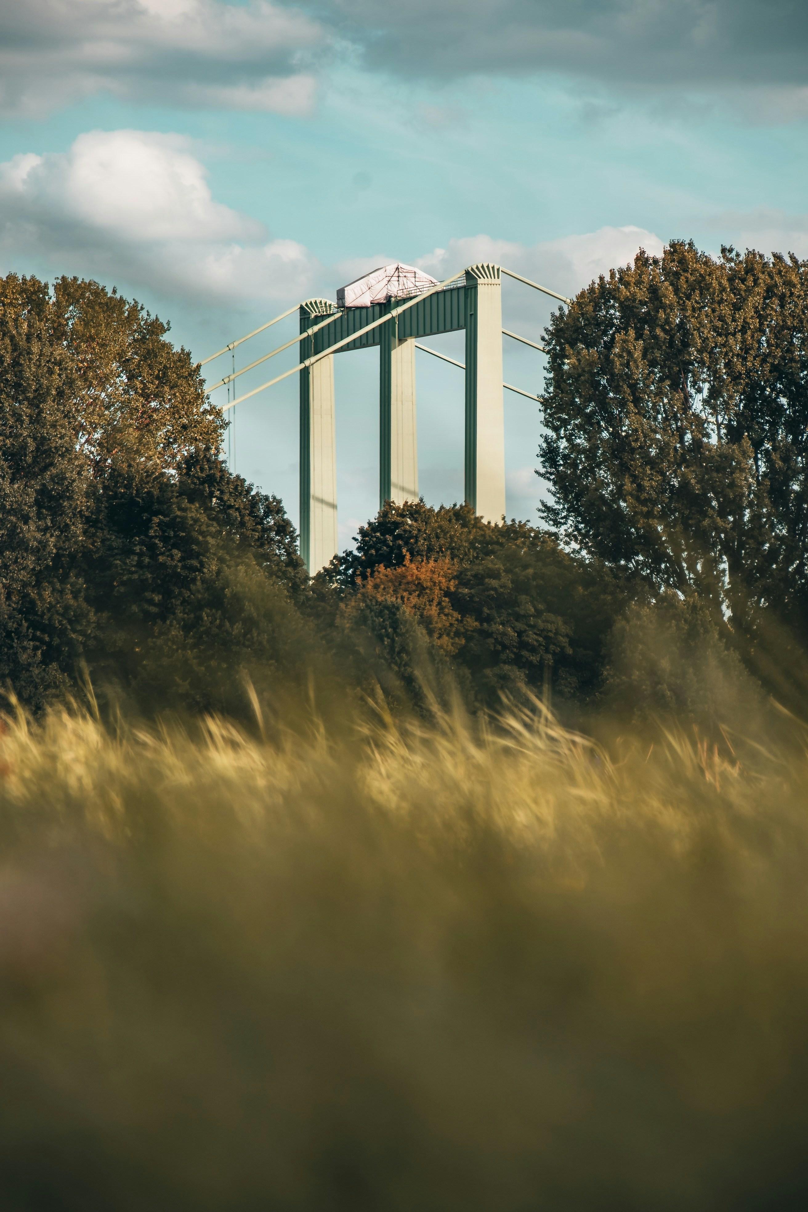 Bridge Towers Peeking Through Golden Evening