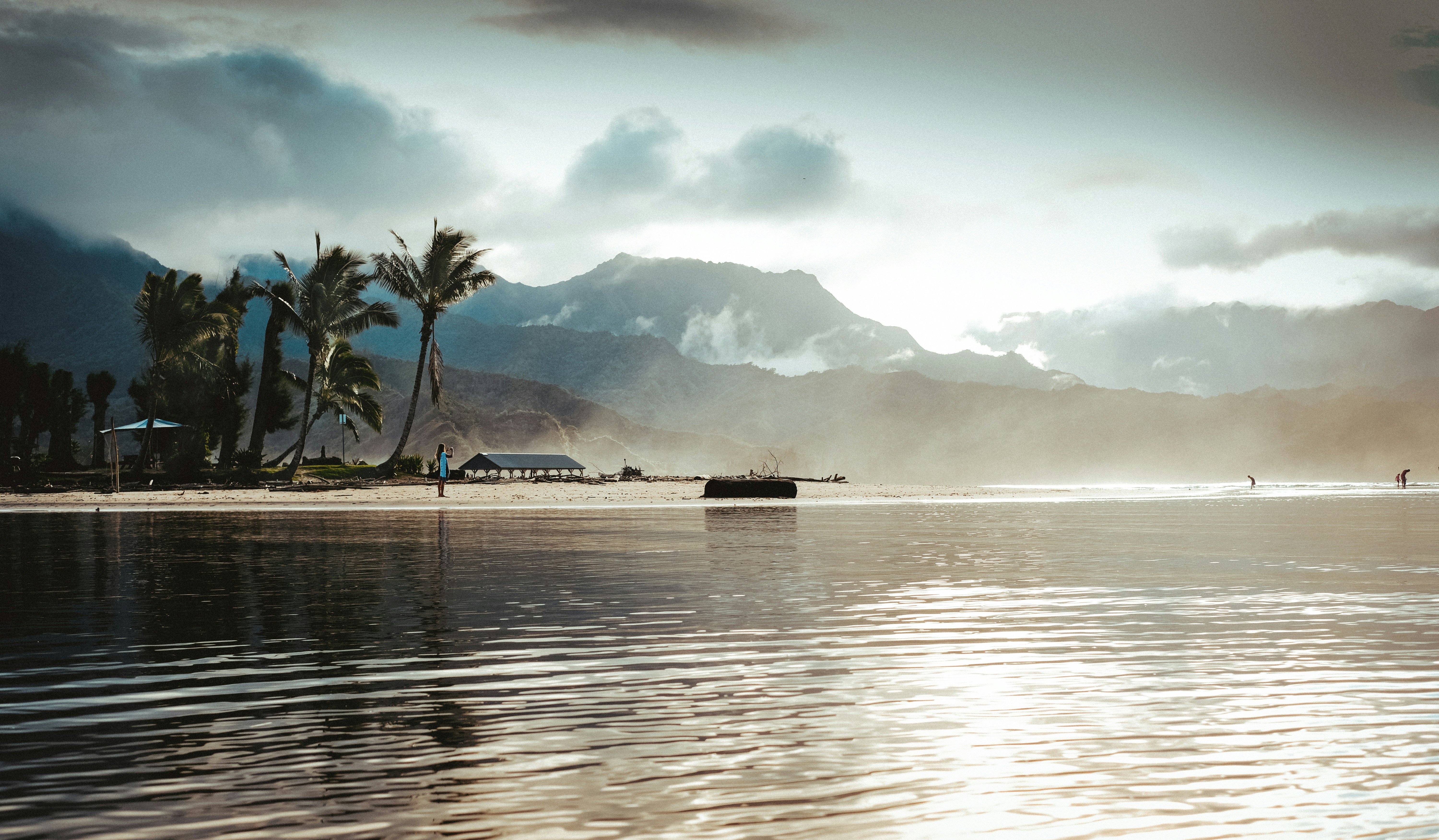 View photography of sea and trees photo – Free Nature Image on Unsplash