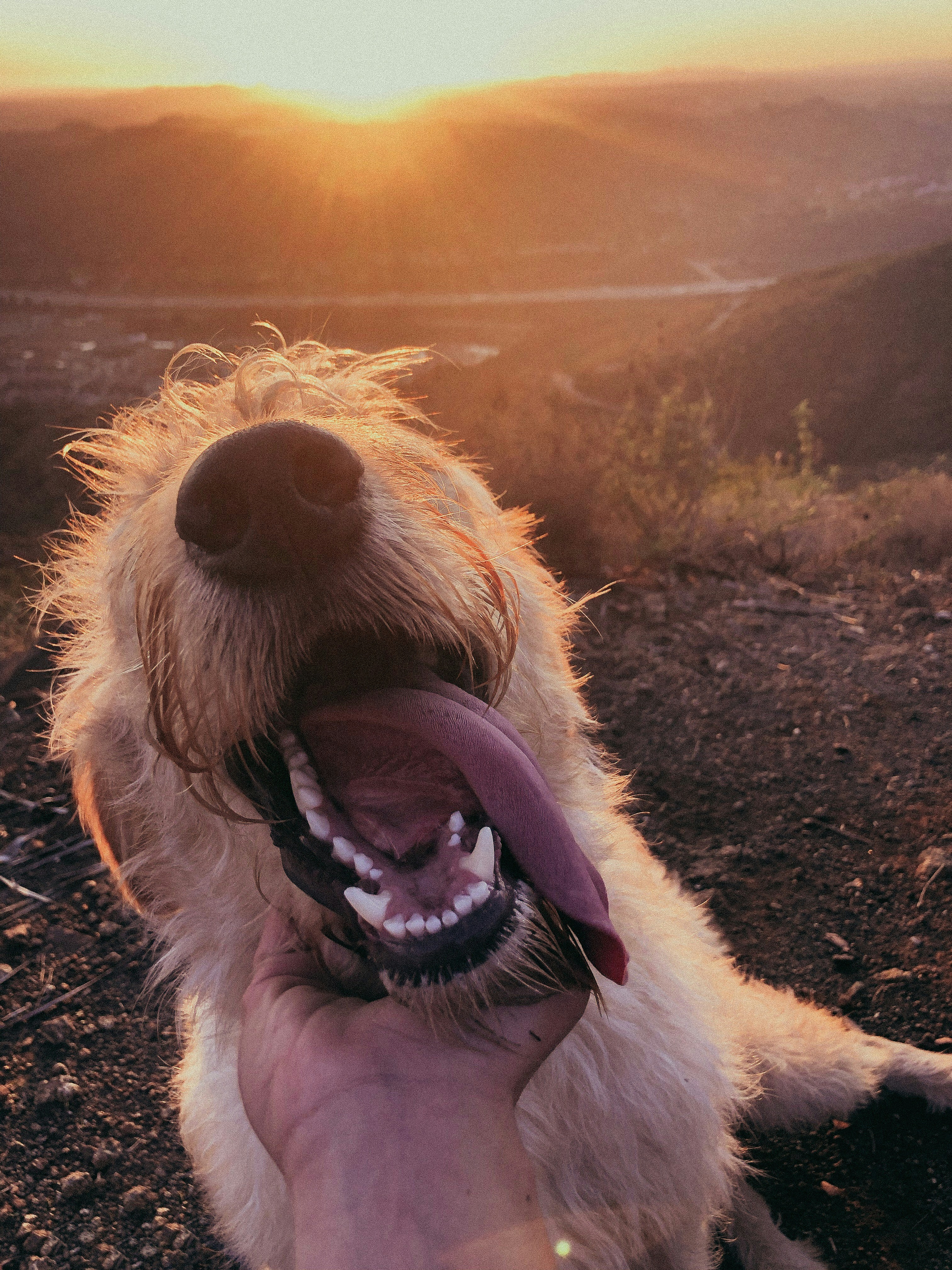 Ian Liberry (@ianliberry) | Unsplash Photo Community