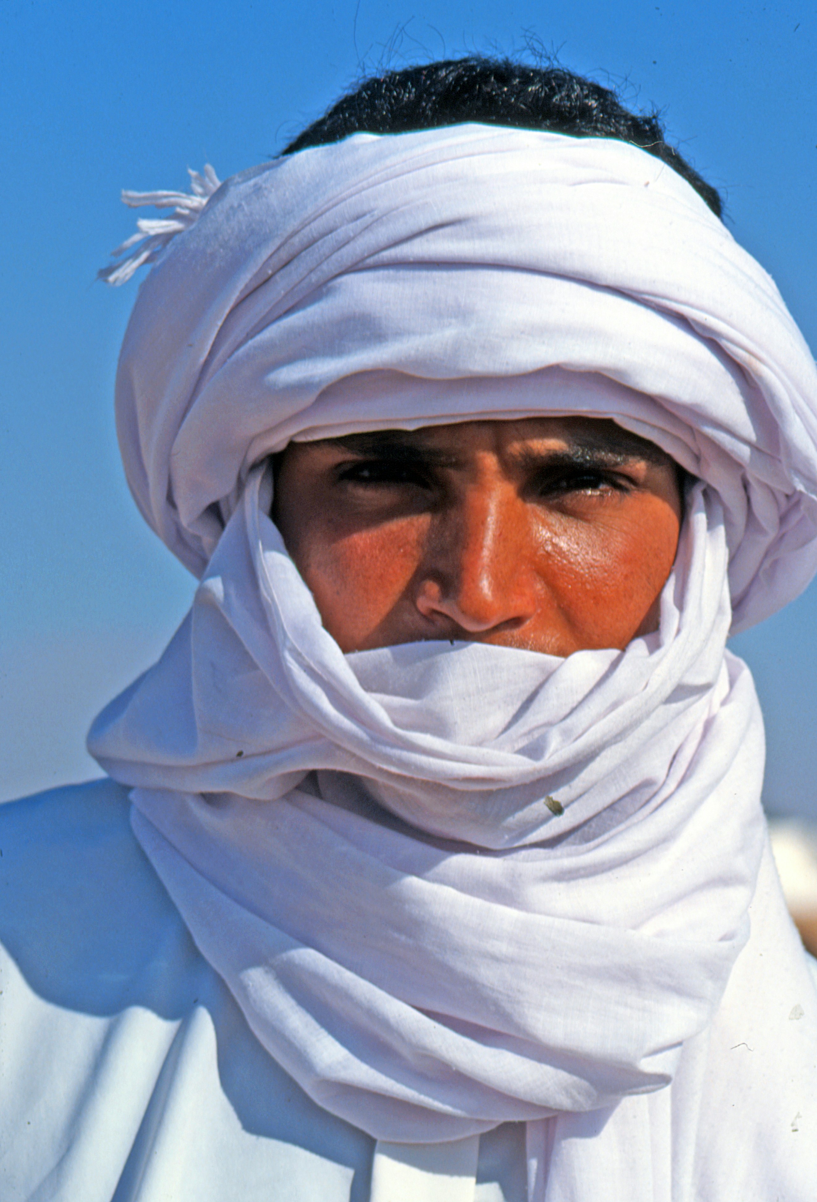 Mounjaro Pictures | Download Free Images on Unsplash