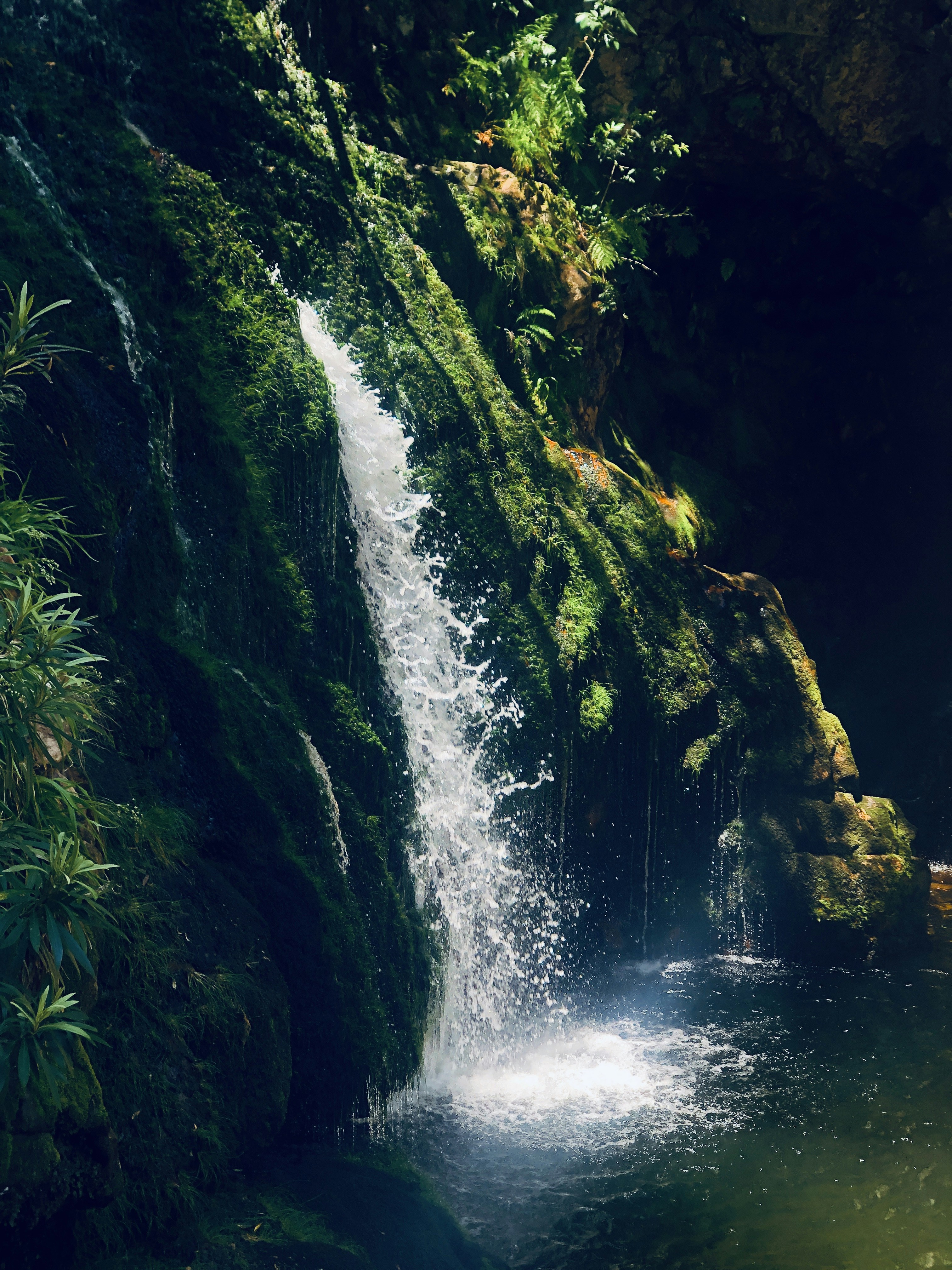 Shallow focus photo of water falls during daytime photo – Free Grey ...