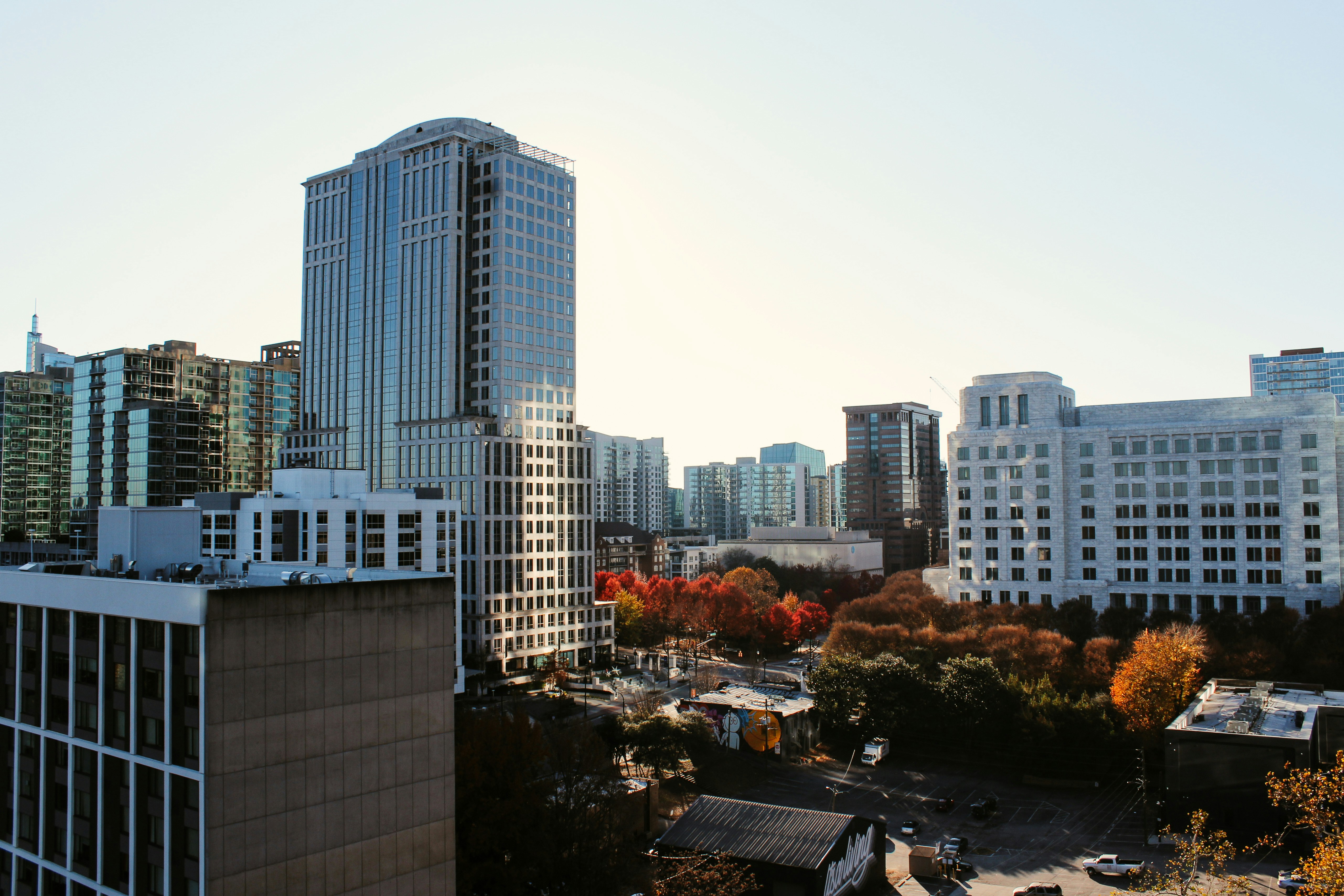 Sunlit skyscrapers rise above colorful fall foliage in an urban landscape.