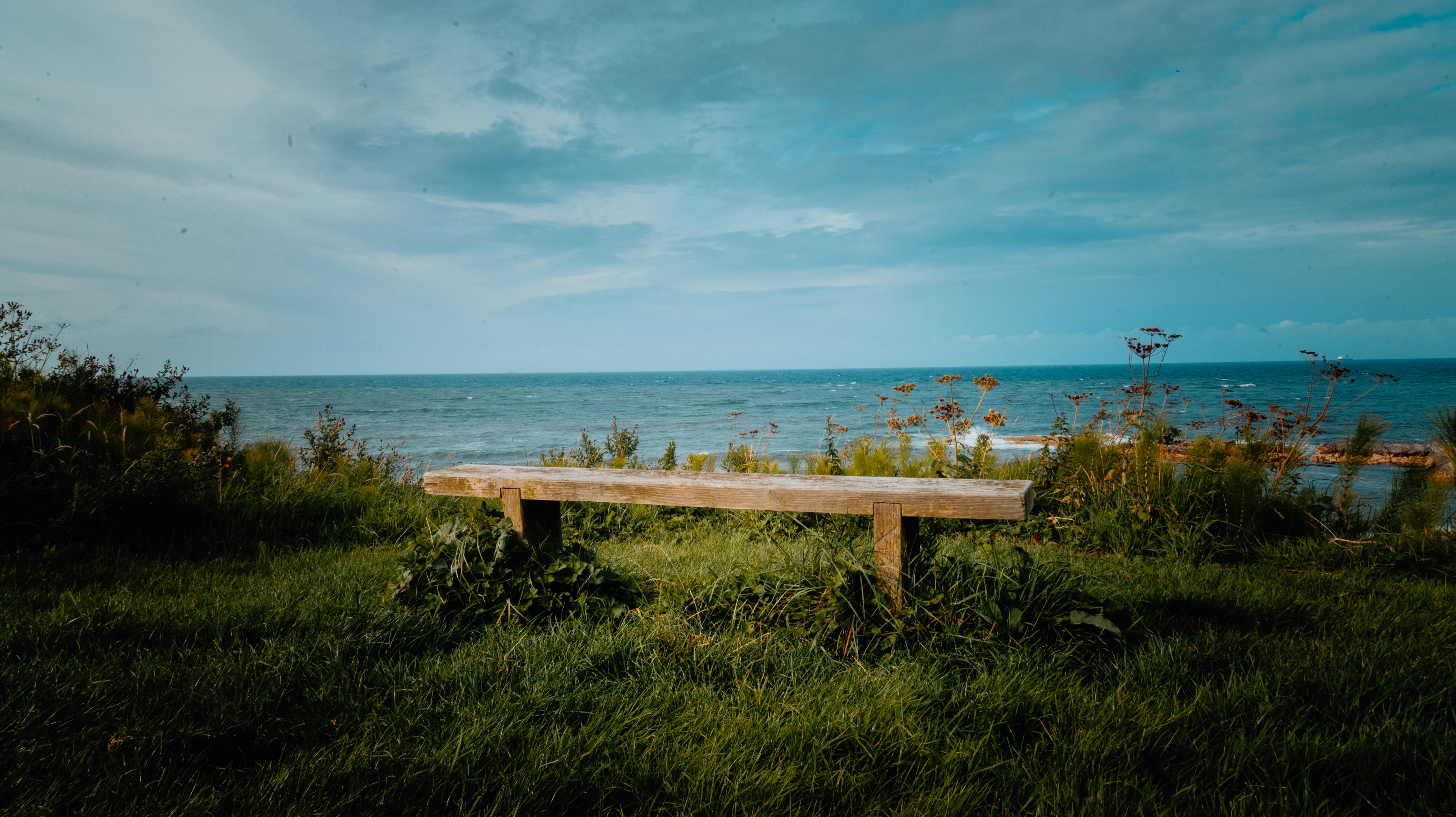 A wooden bench overlooking a tranquil ocean scene, surrounded by lush greenery and gentle waves. Ideal spot for reflection.