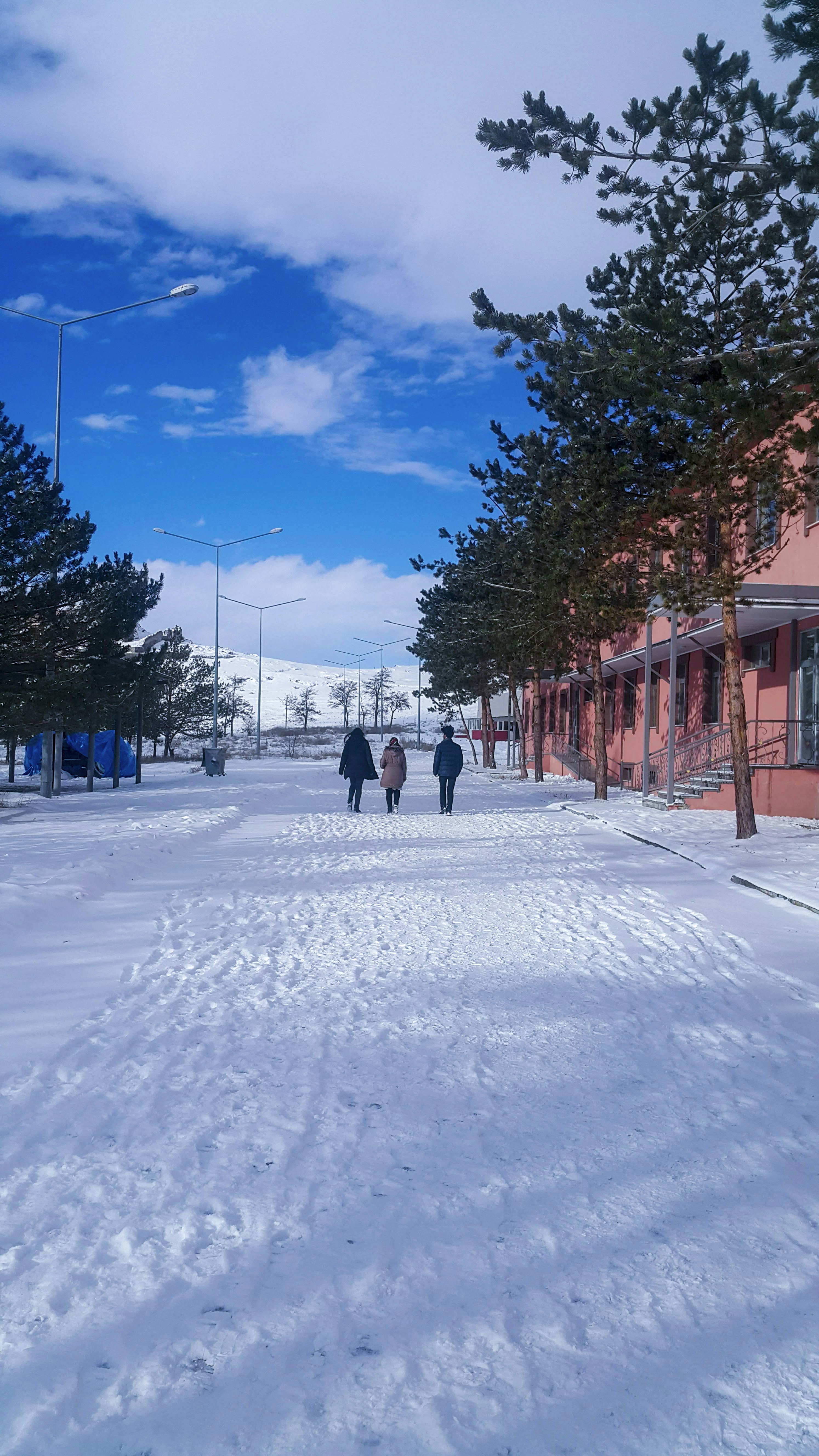 Three figures walk along a snow-covered path lined with trees, under a bright blue sky. The scene captures the tranquility of a winter day.