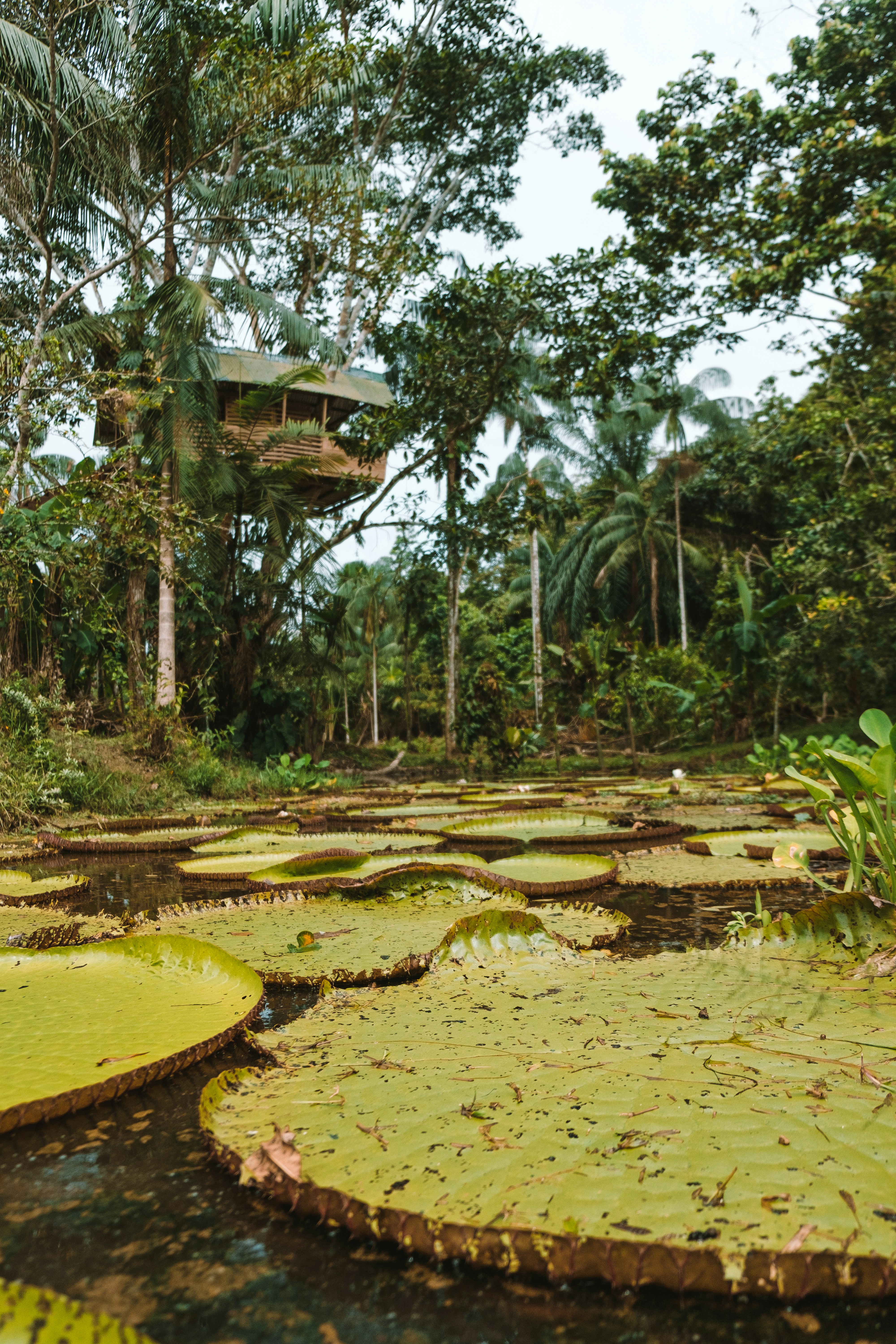 Andrea Leopardi (@whatyouhide) | Unsplash Photo Community