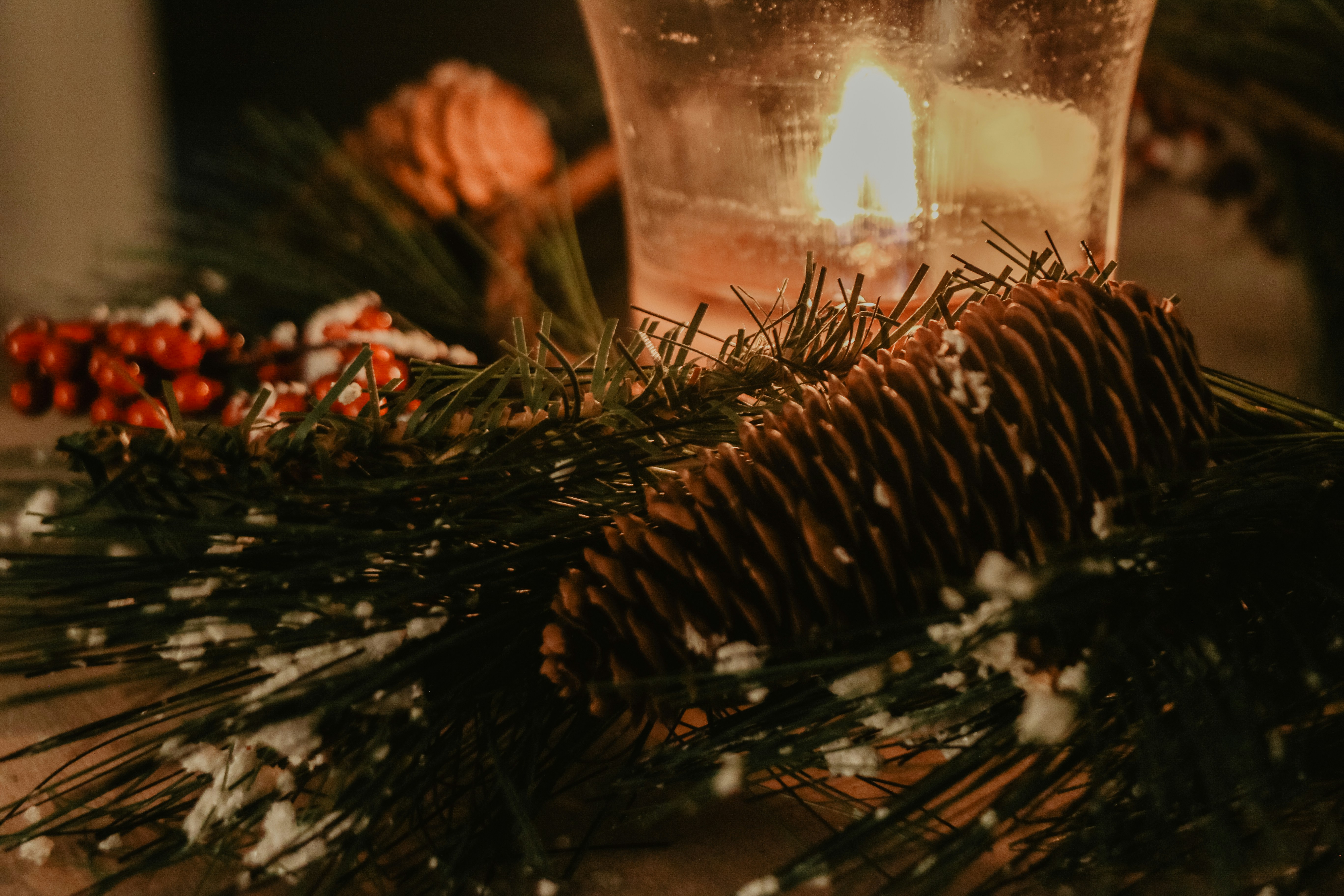 Amber Flame Enshrines a Pine Cone in Winter's Quiet Glow