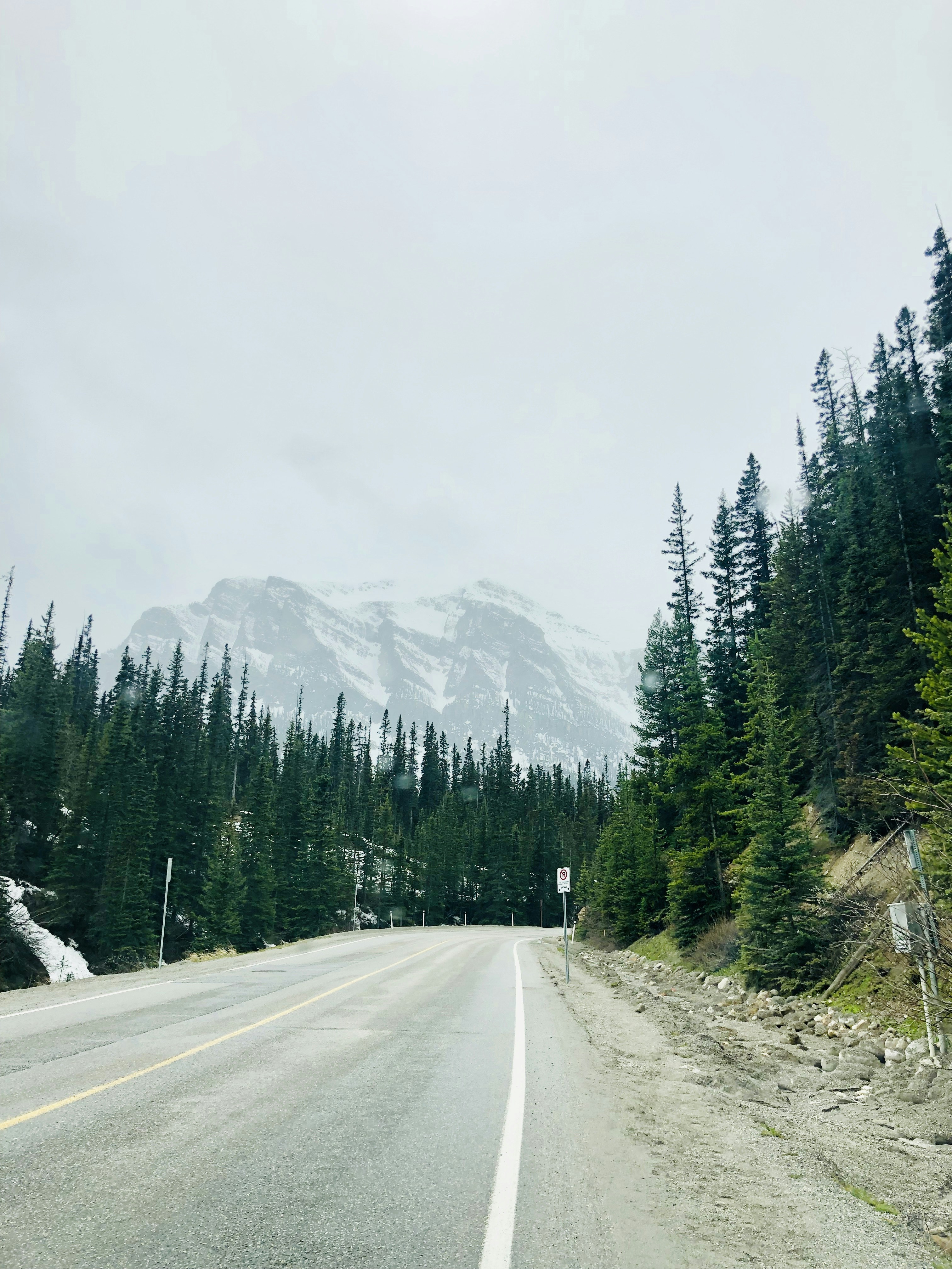 Winding road through dense evergreen forest with snow-capped mountains looming in the background, under a cloudy sky.