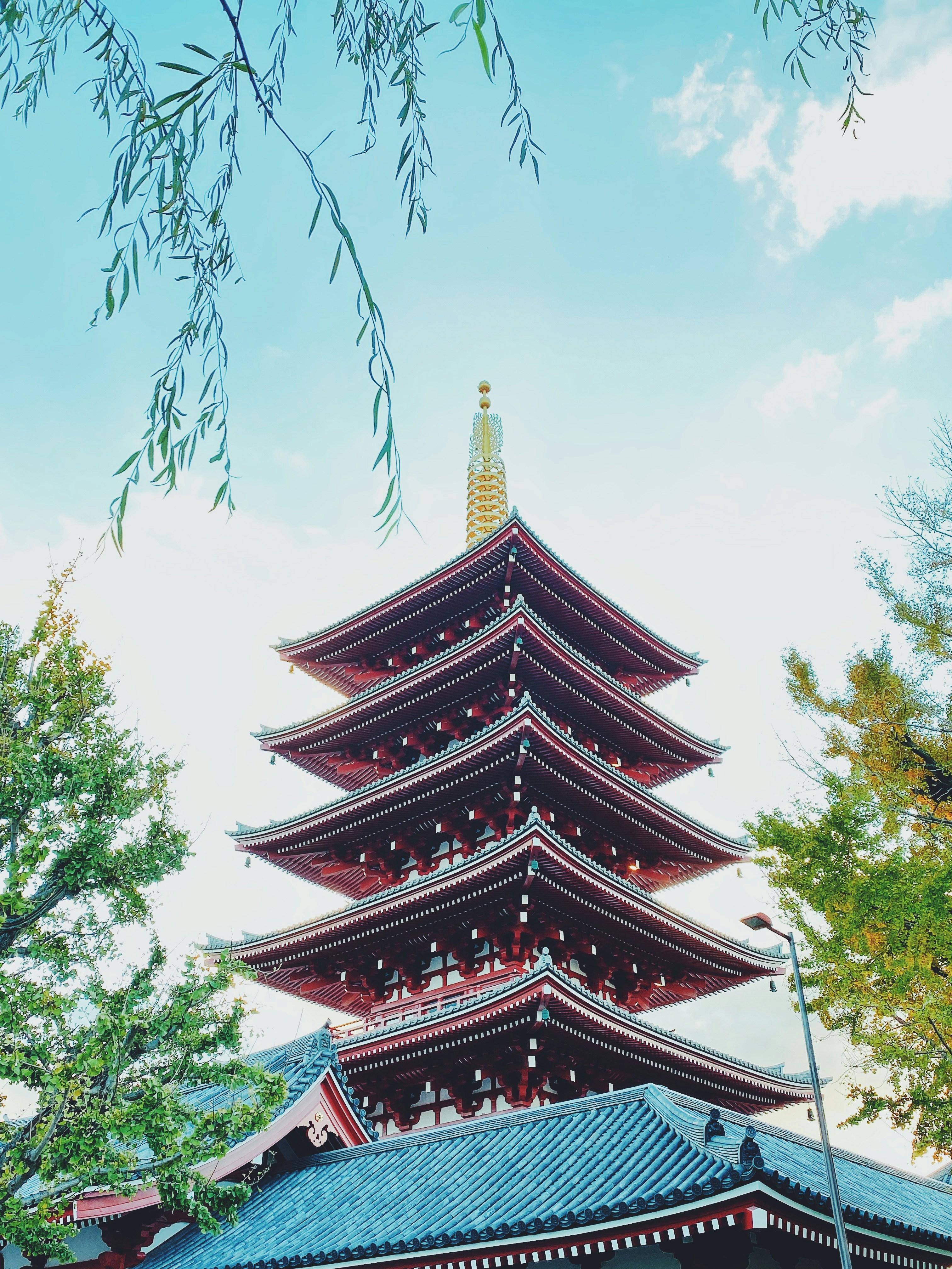 Shallow focus photo of maroon and blue building photo – Free Grey Image ...