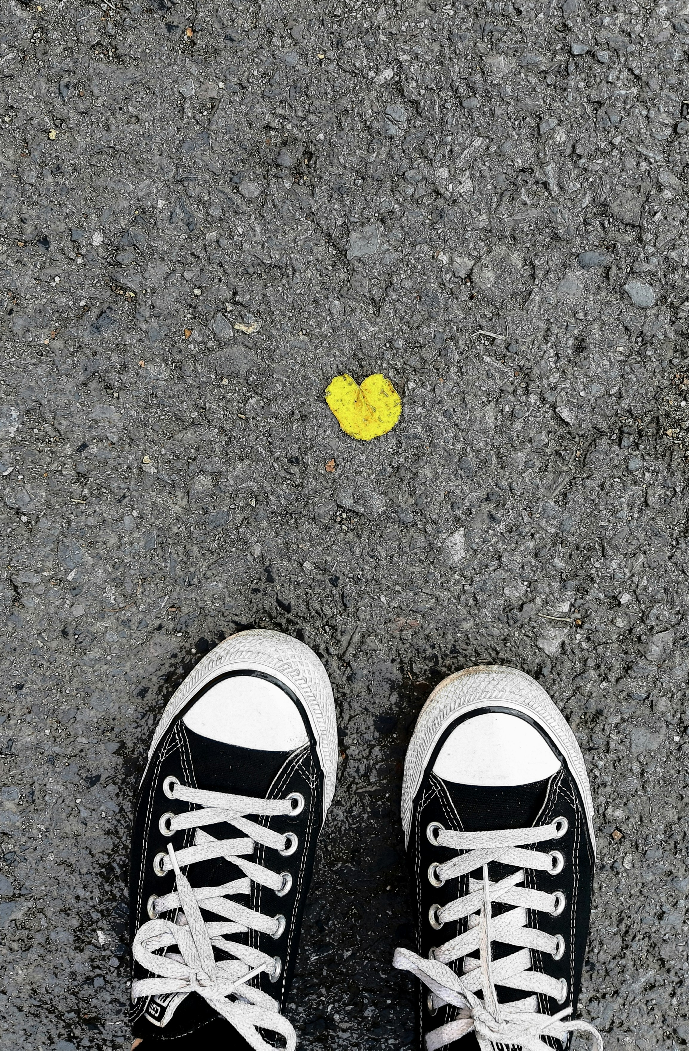 Yellow leaf finds its moment between sneakers on asphalt