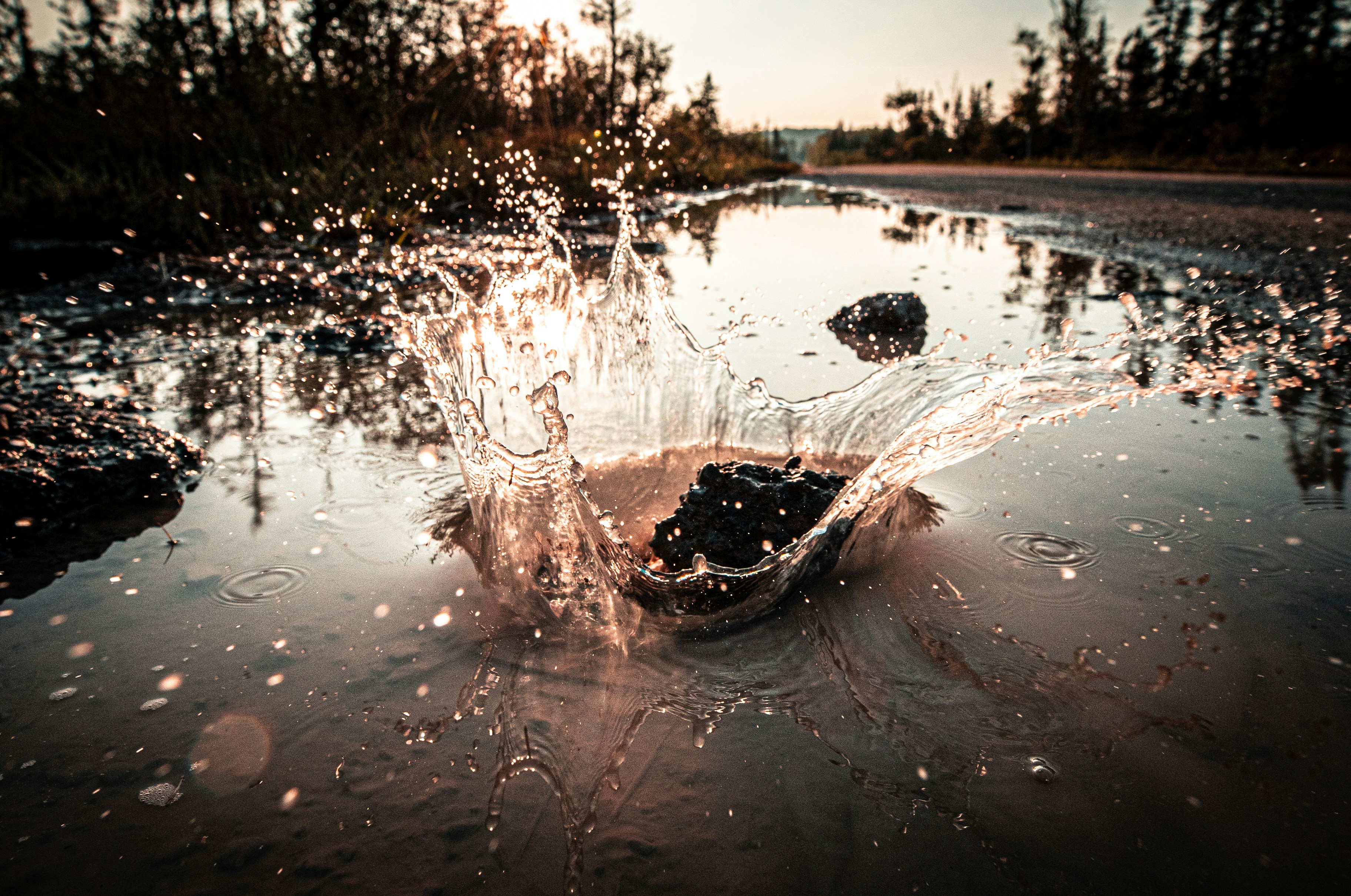 Rock splash in a puddle with sunlight reflecting off water droplets.