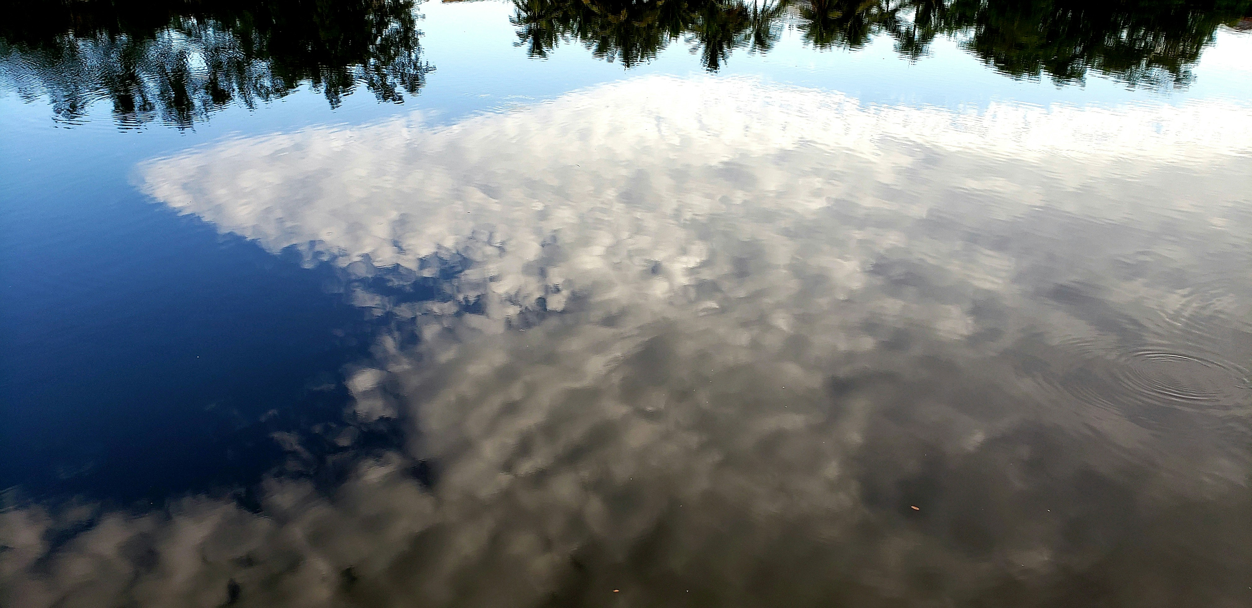 Clouds mirrored on a serene water surface, framed by lush greenery along the banks. The stillness enhances the ethereal quality of the scene.