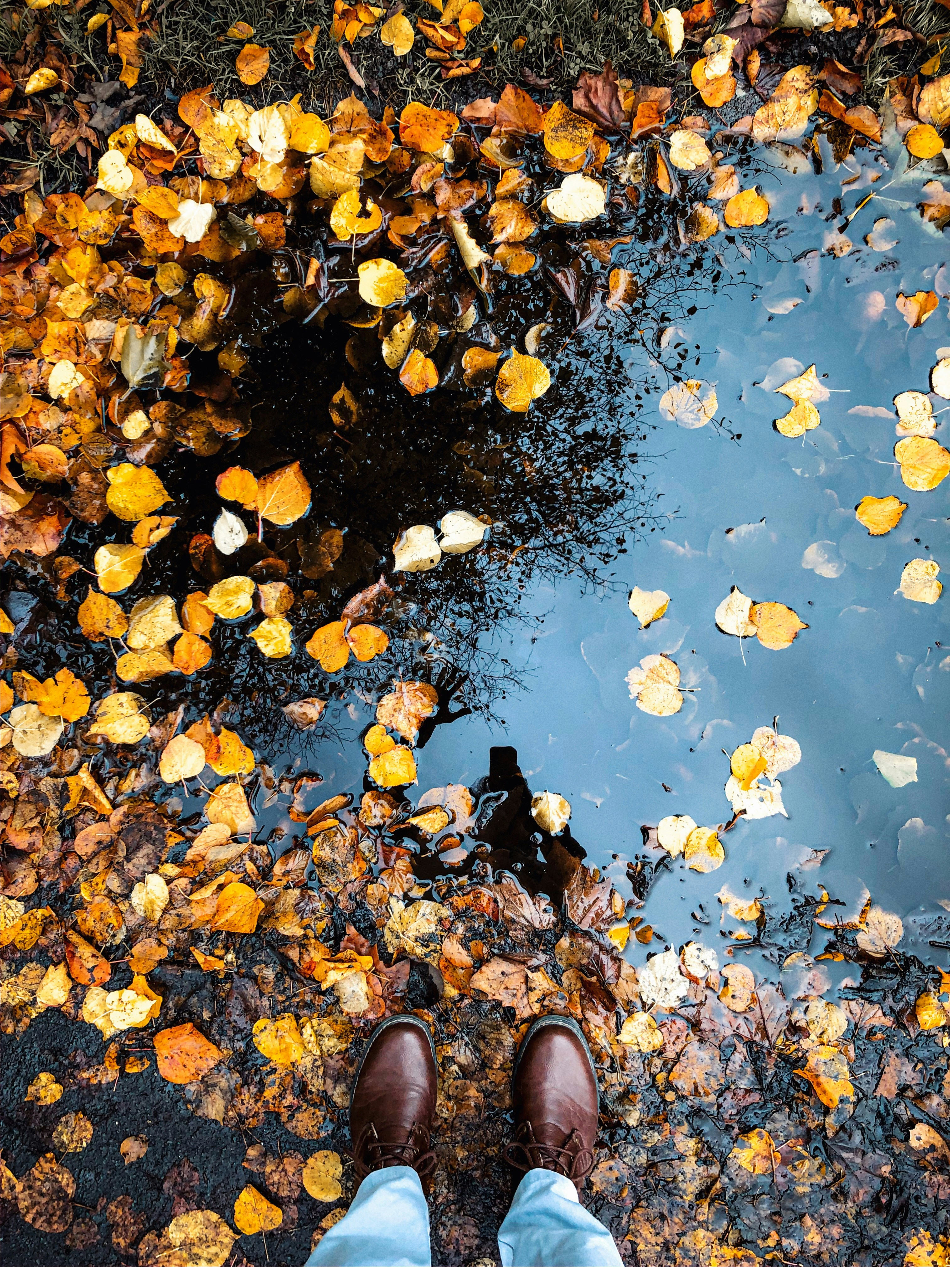 Autumn leaves scattered around a puddle, reflecting the surrounding environment and a pair of brown boots standing nearby.