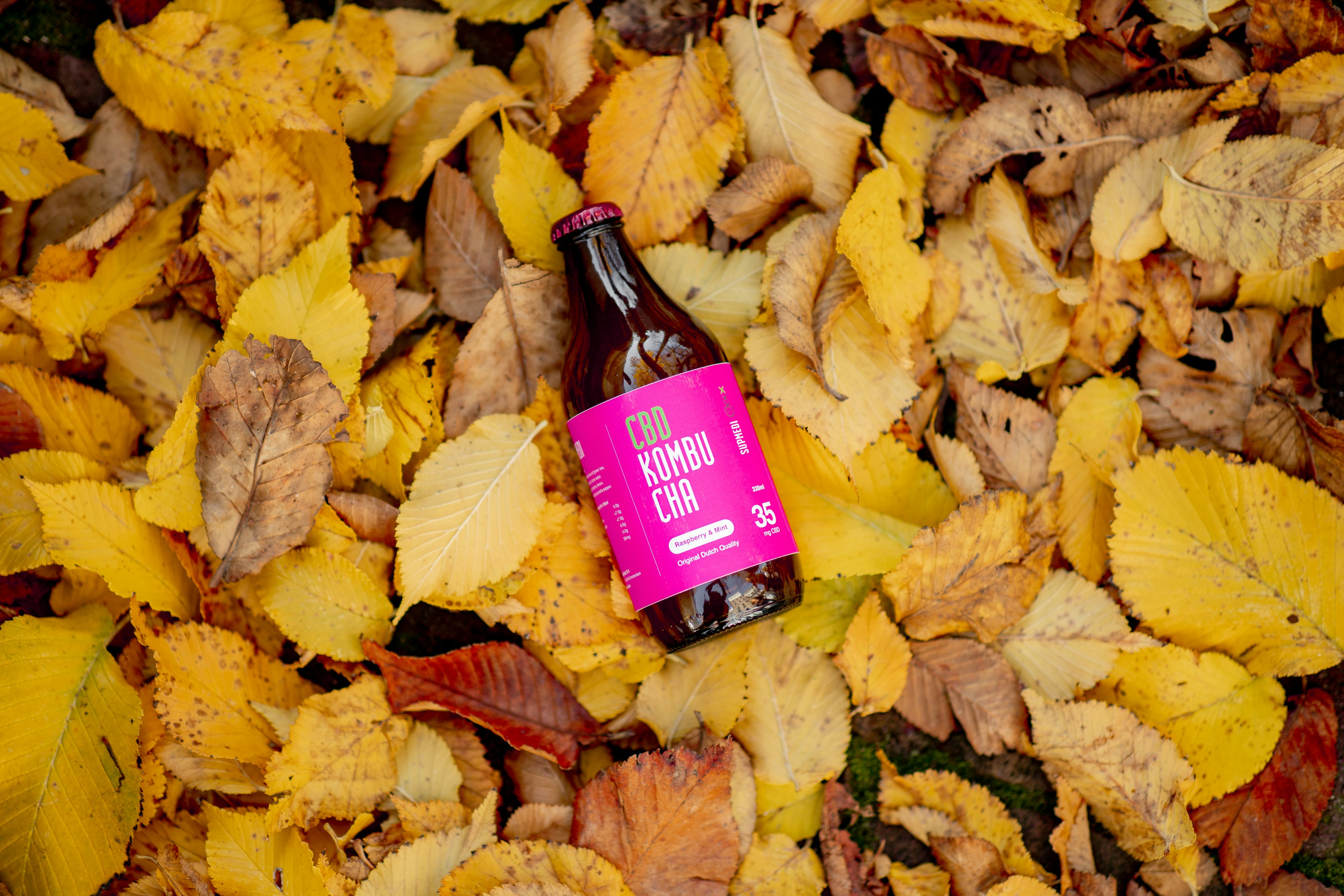 Autumn Drinks - CBD - Kombucha