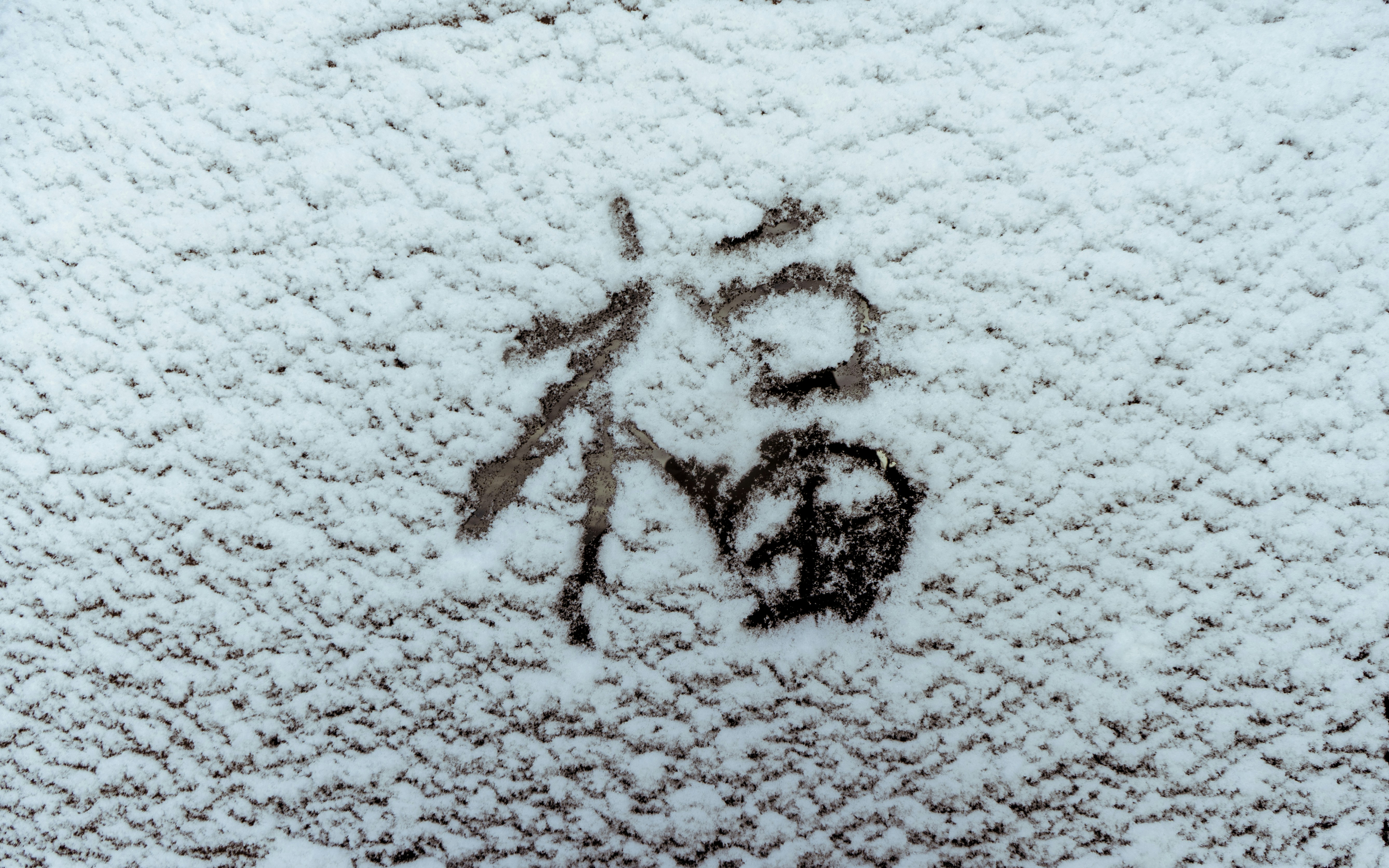 Chinese character for 'luck' etched in the snow, surrounded by a textured white blanket. The scene evokes a sense of serenity and hope.