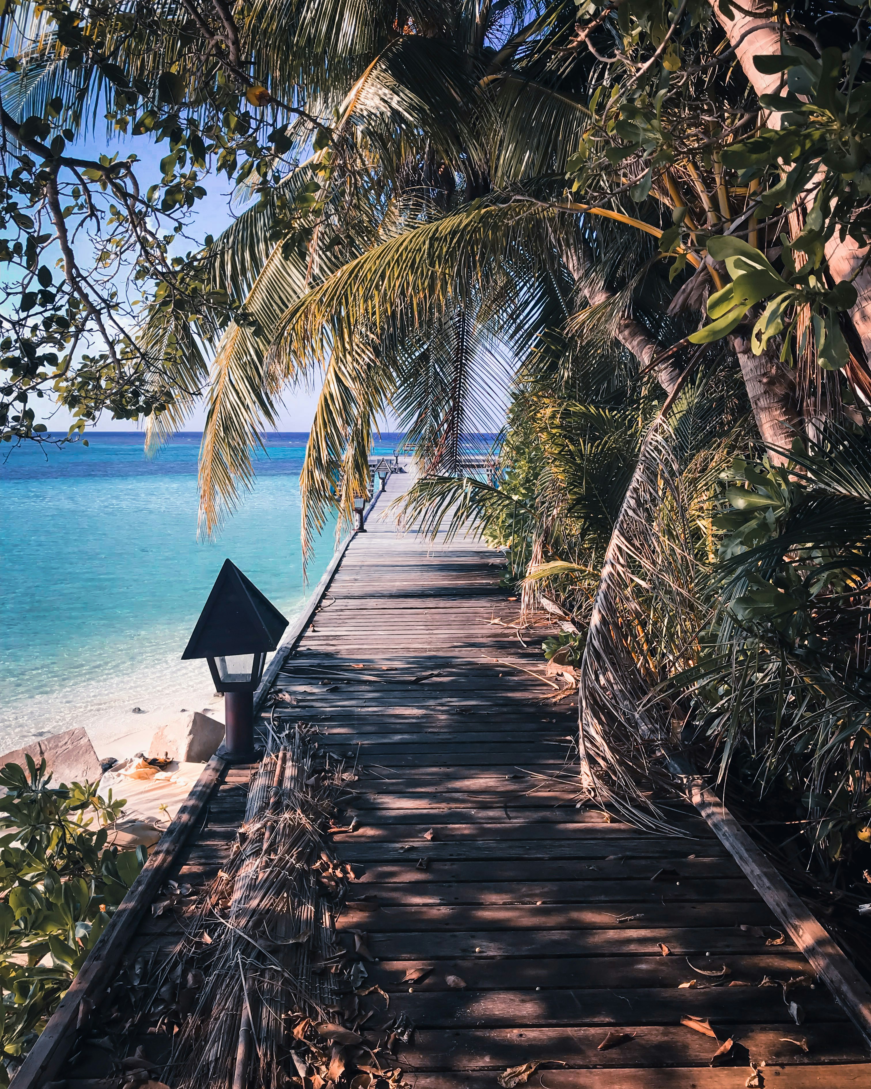 Tropical Tumblr Pics