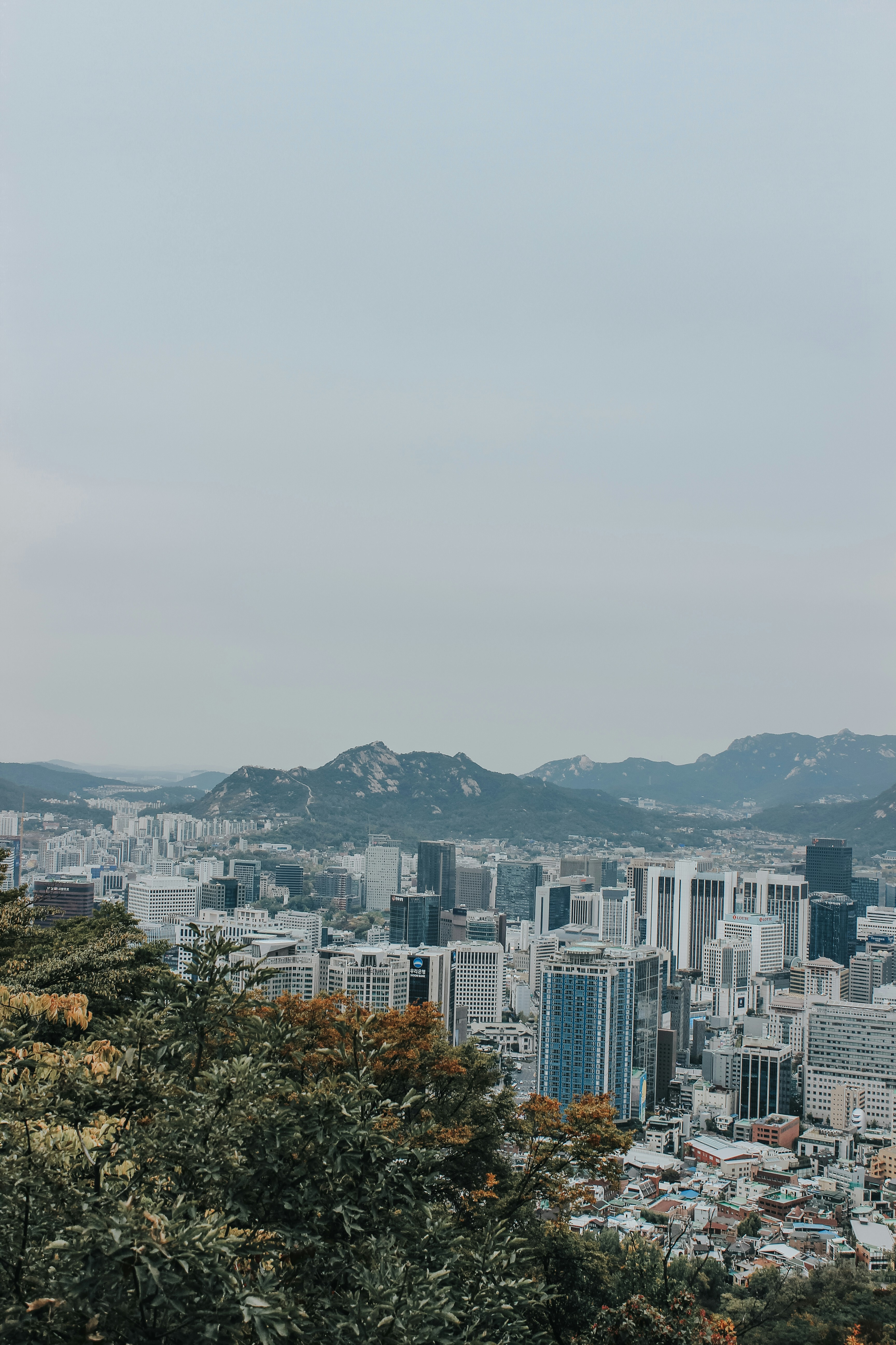 View of a sprawling cityscape framed by lush greenery and distant mountains, showcasing the blend of urban and natural elements. 