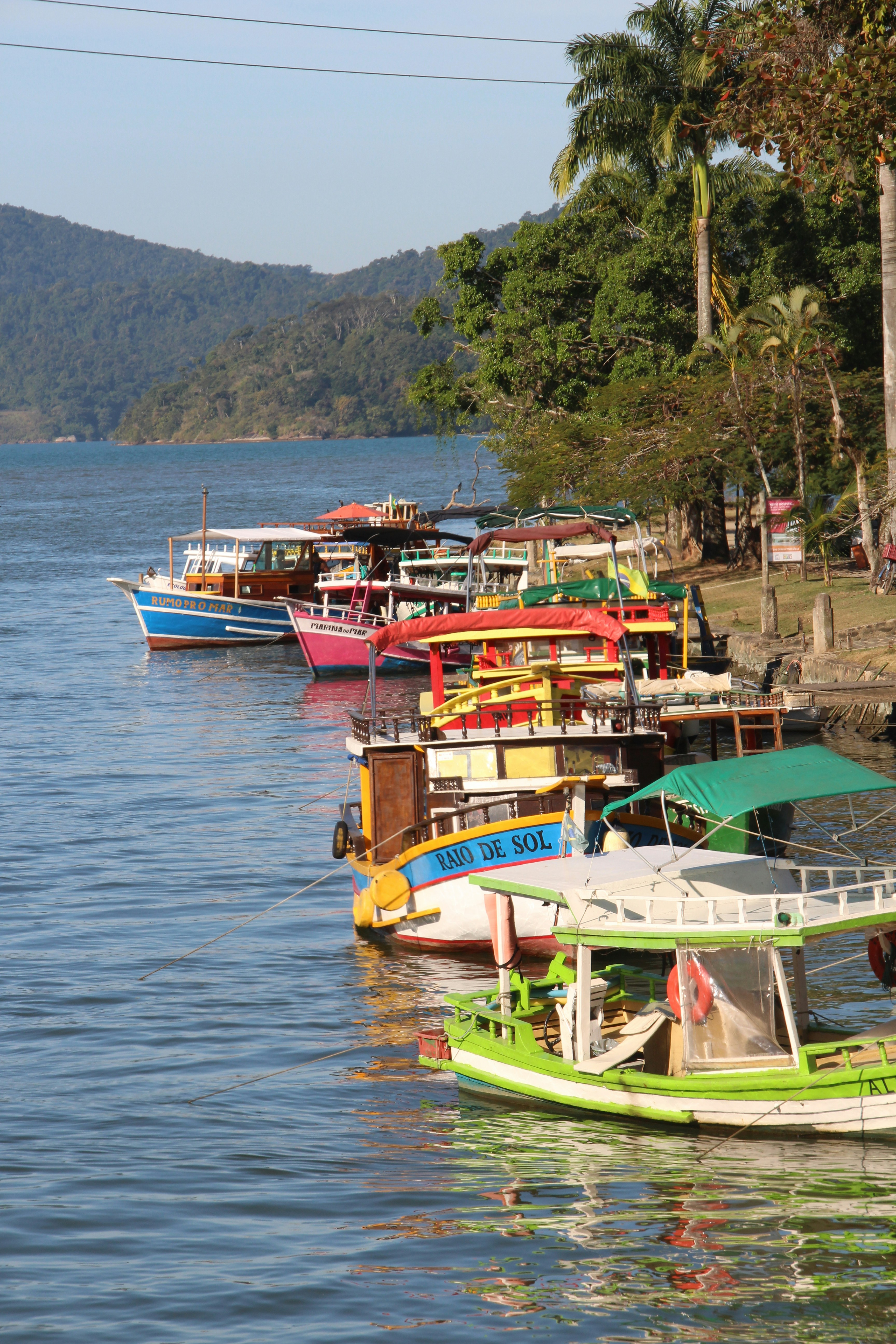 Colorful boats lining a sunlit shoreline with tropical trees