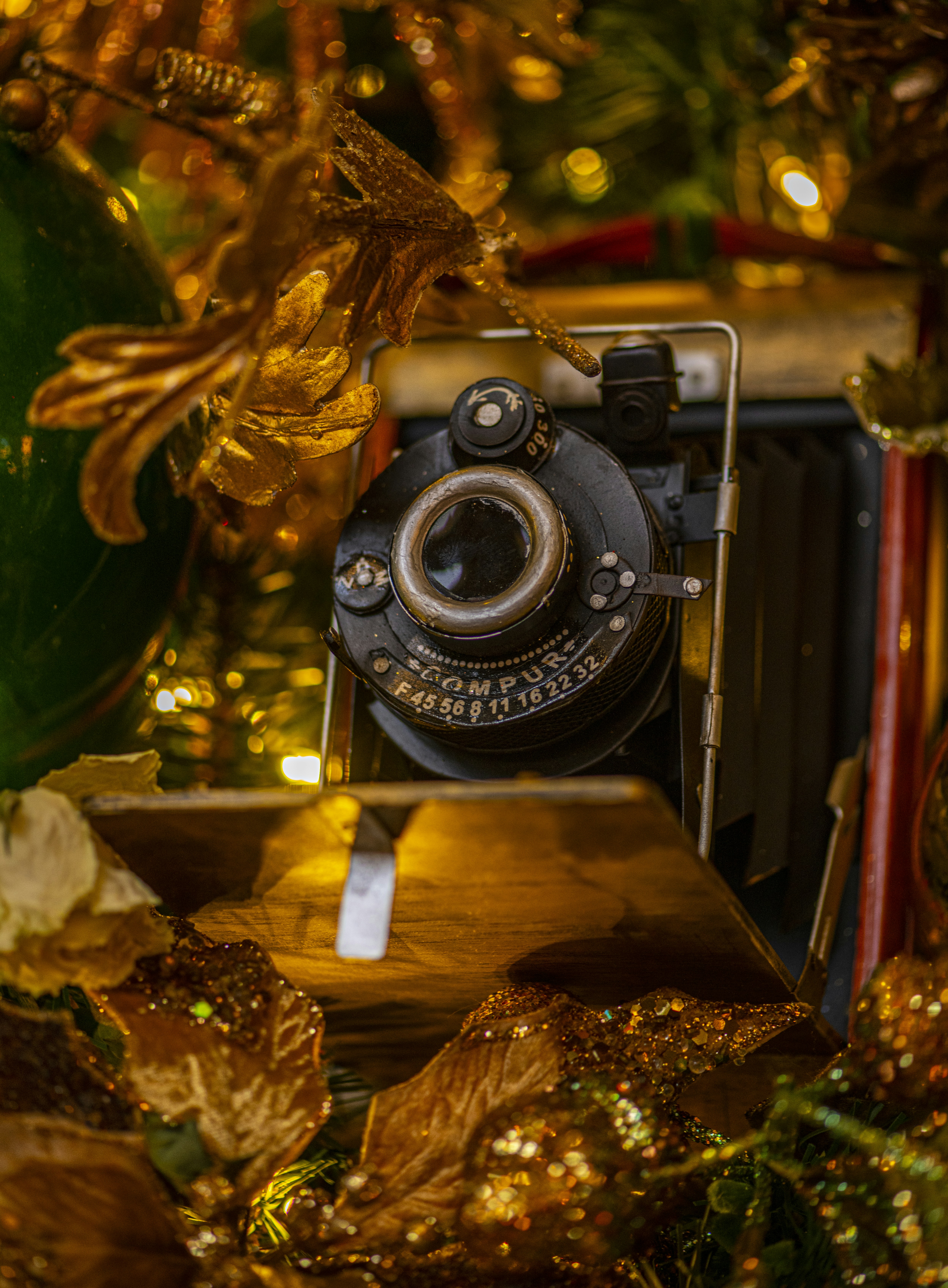 Antique Camera Nestled Among Golden Christmas Ornaments