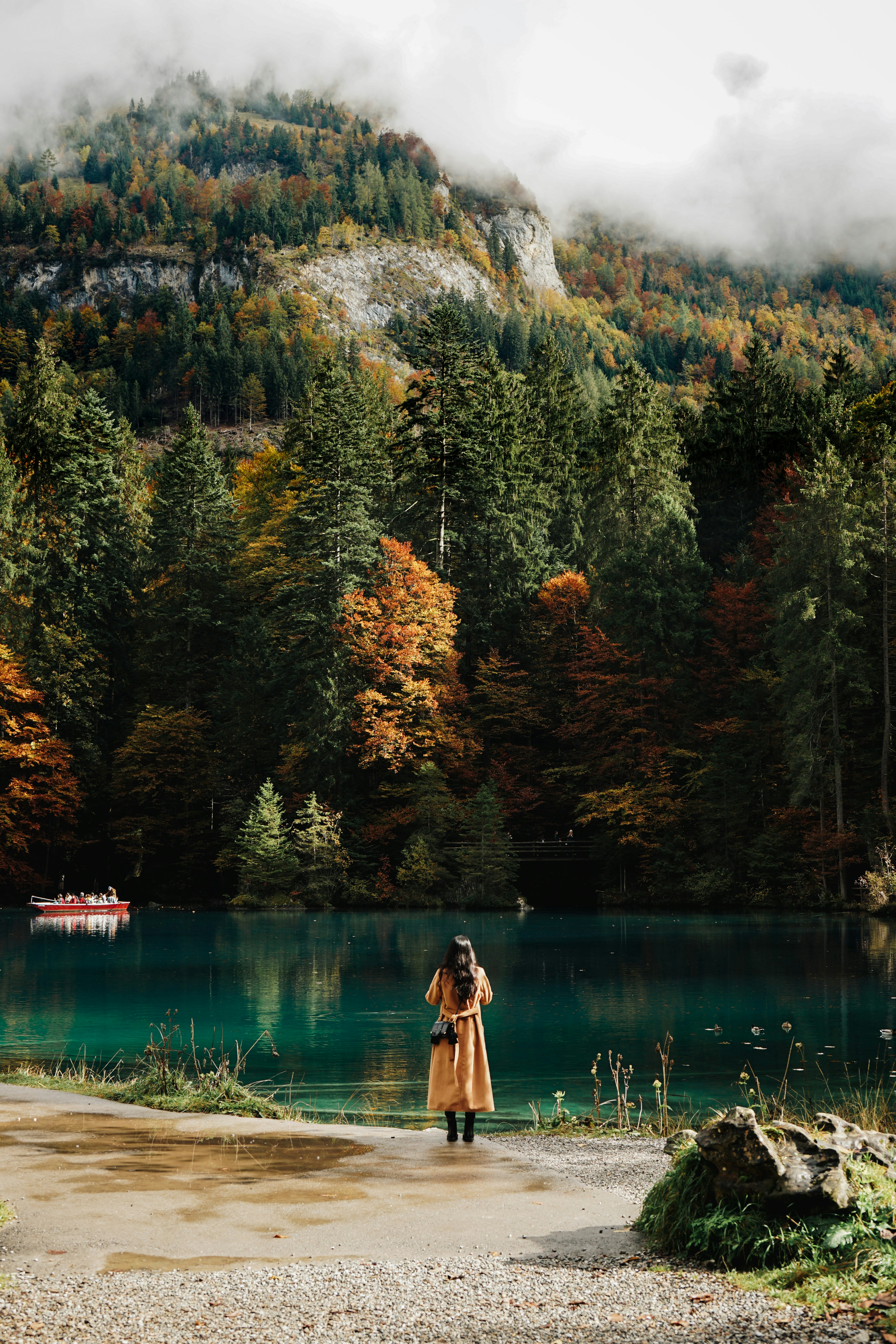 Solitary Observer by Turquoise Lake: Autumn Forest in Quiet Majesty