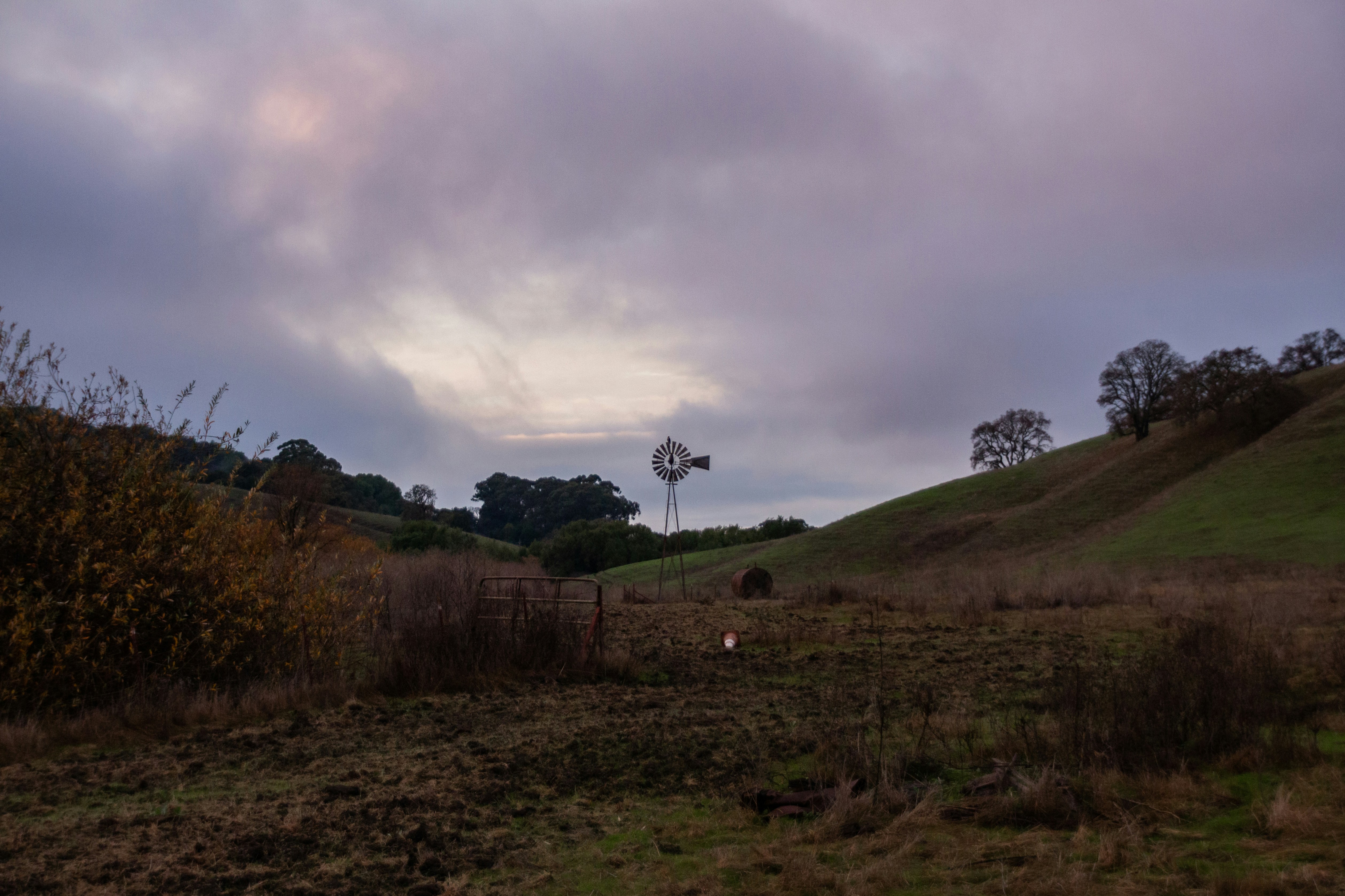 Black windmill on green field under white and gray sky photo – Free ...