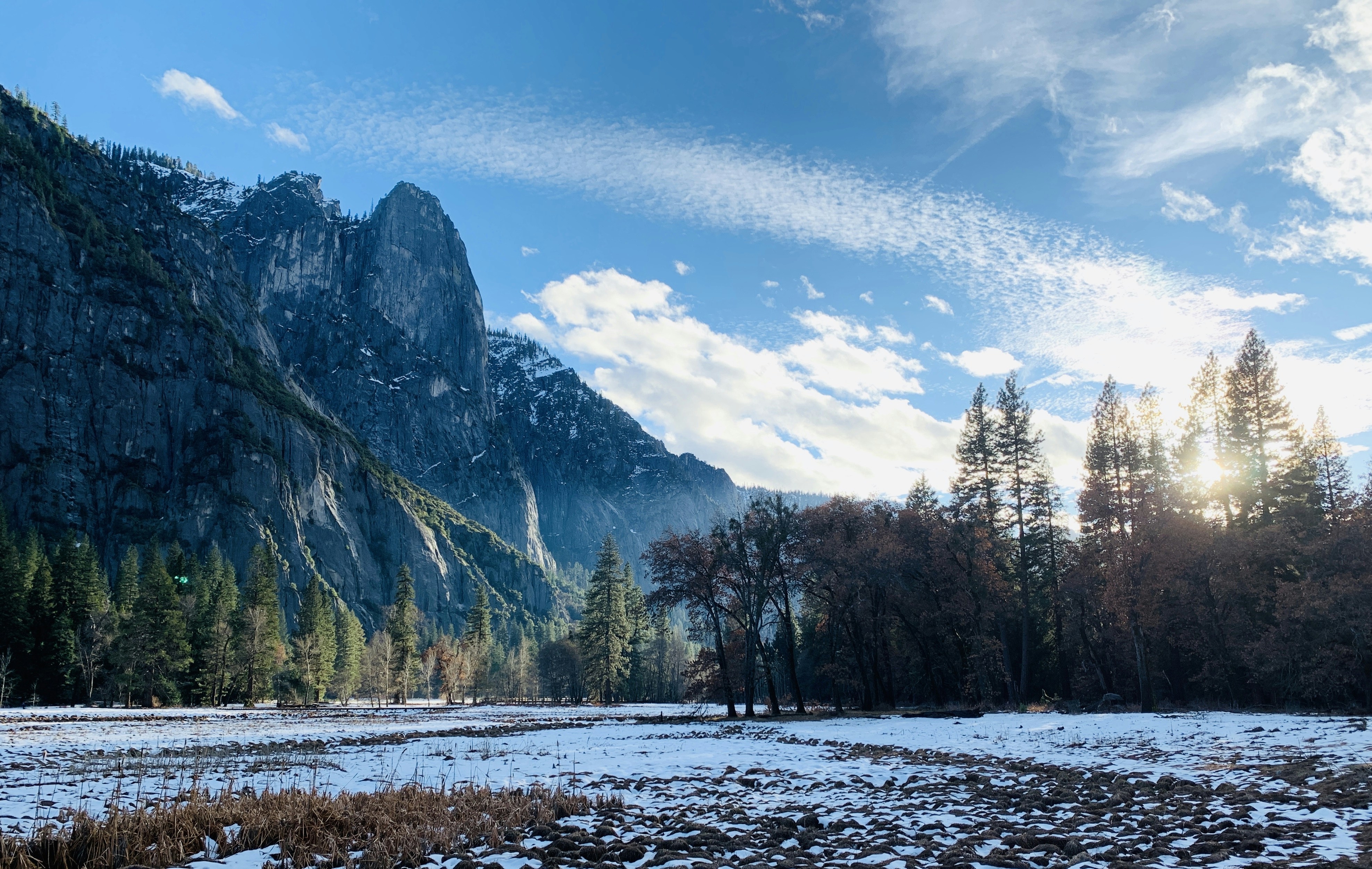 Sunlit Pines Over a Snow-Dusted Alpine Plain