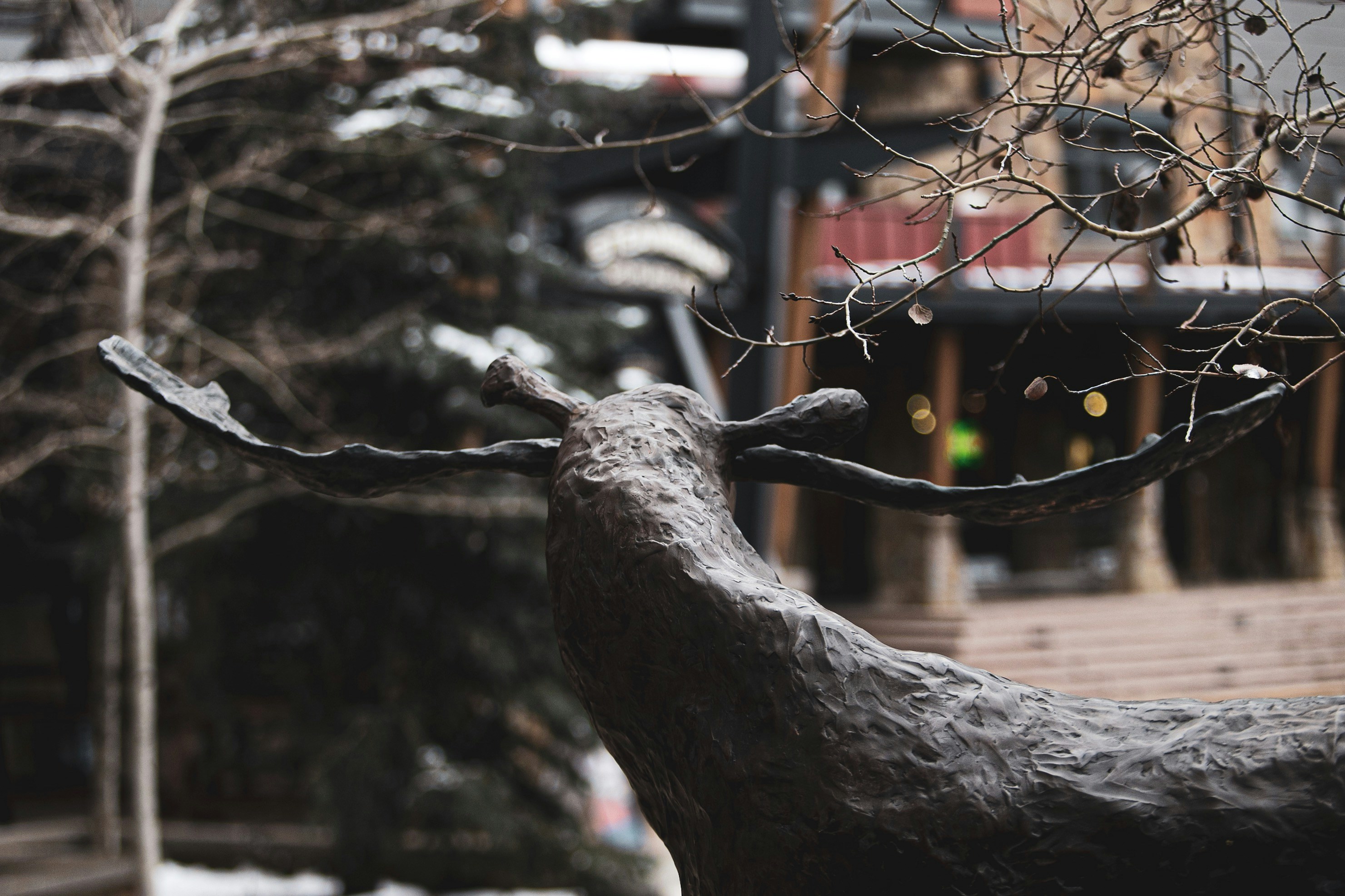 Arms of a Tree: A Quiet Courtyard Study in Gnarled Form