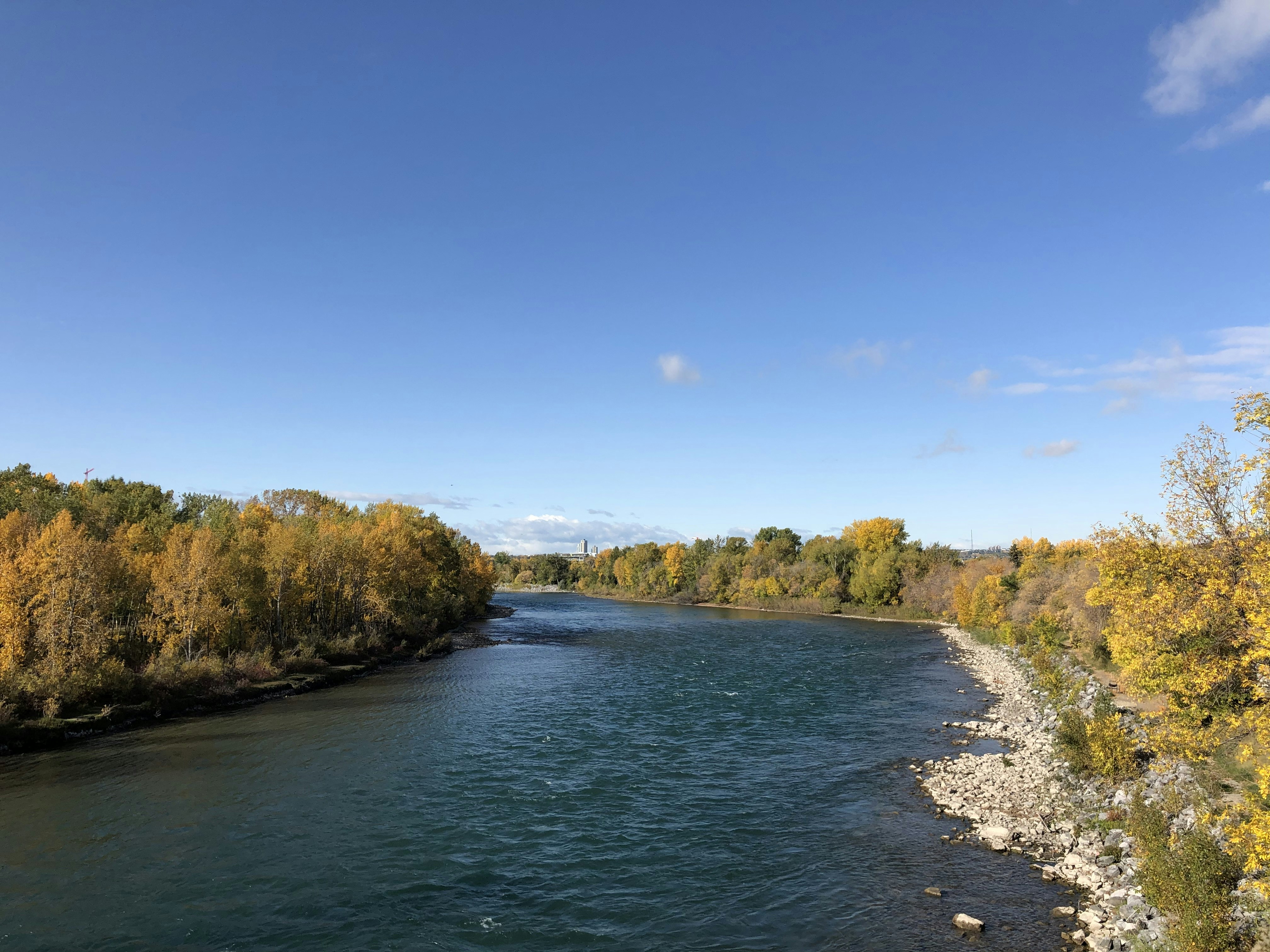 A river running through a lush green forest photo – Free Calgary Image ...