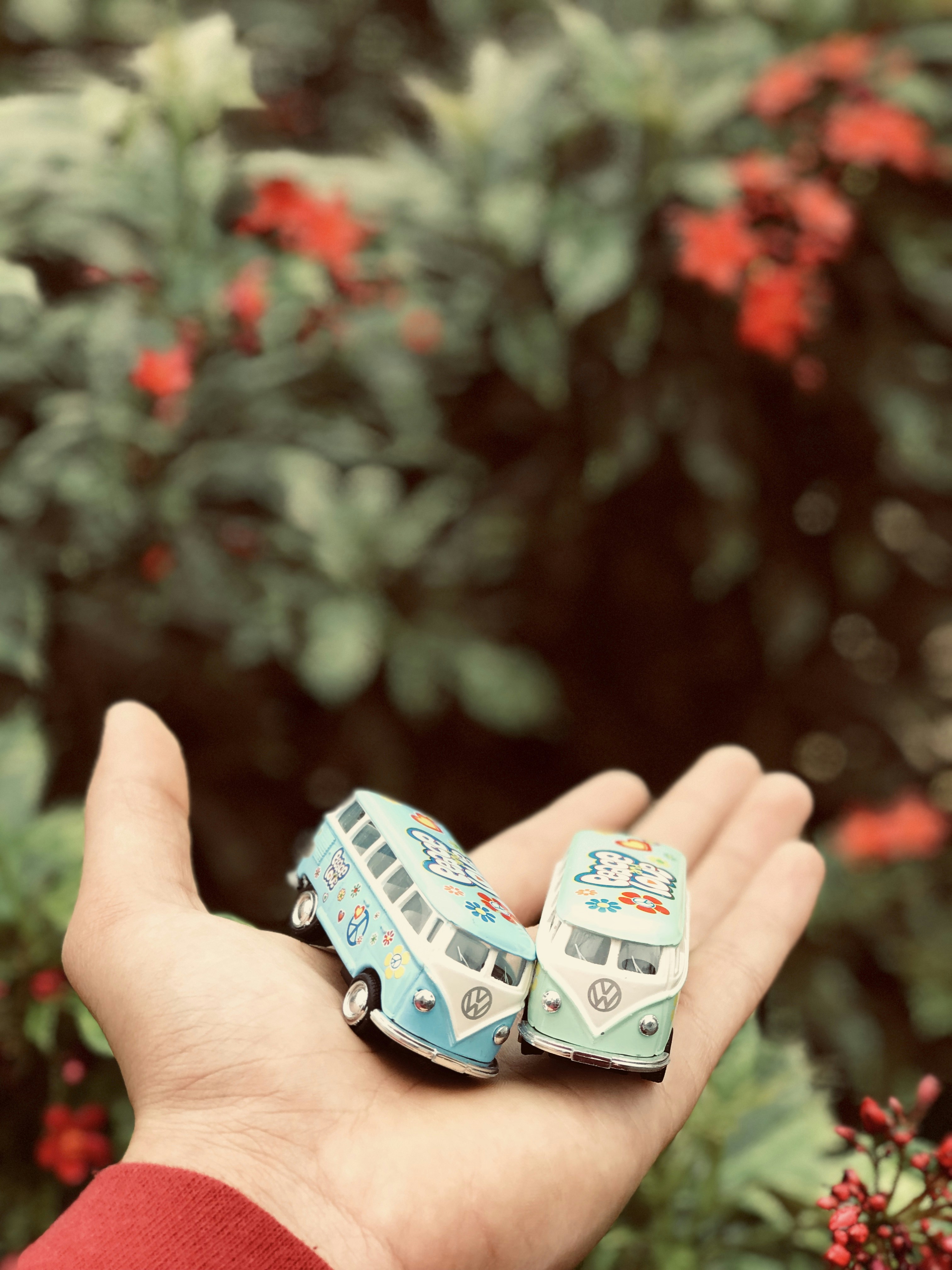 Gift in Soft Focus: Tiny Vans Rest on an Open Palm